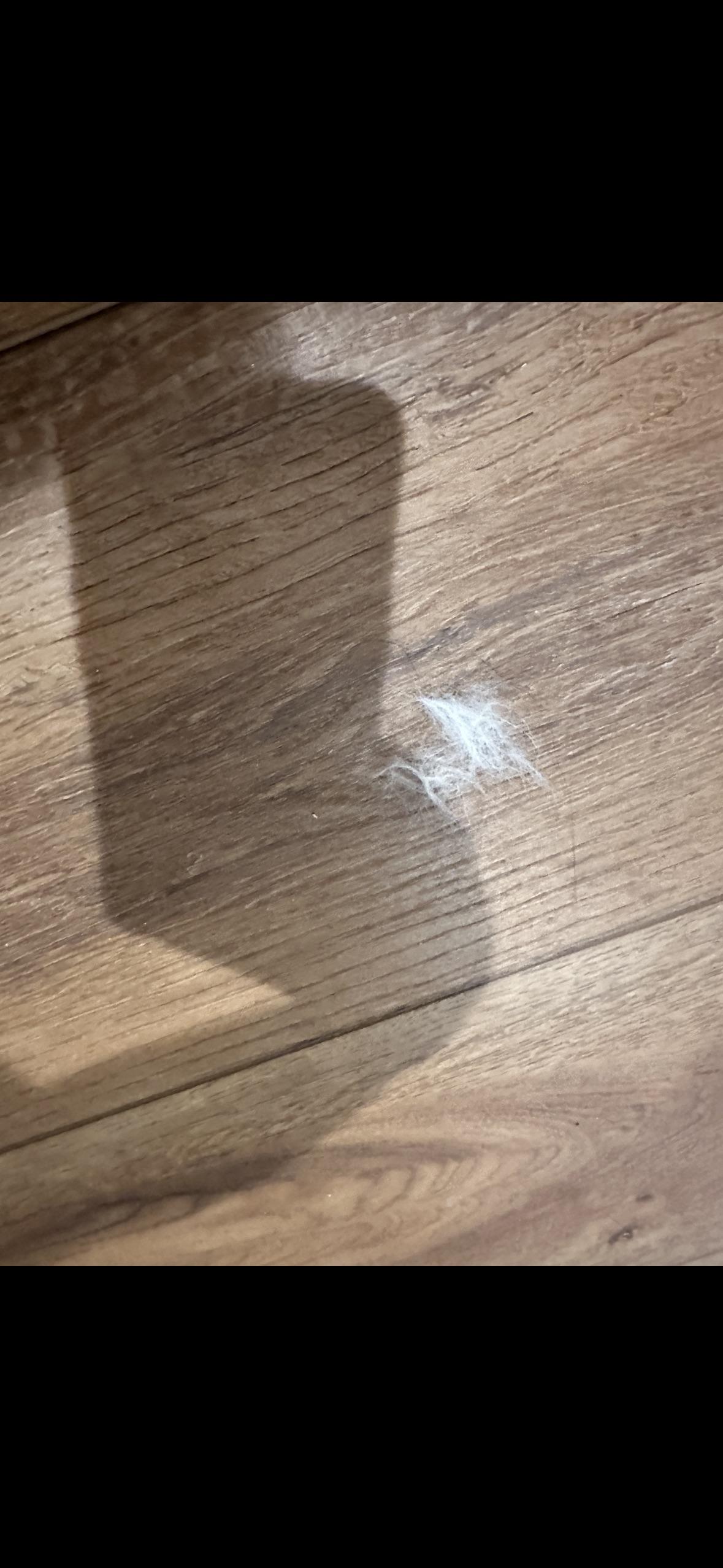 Help Identifying This Floor | Scrolller