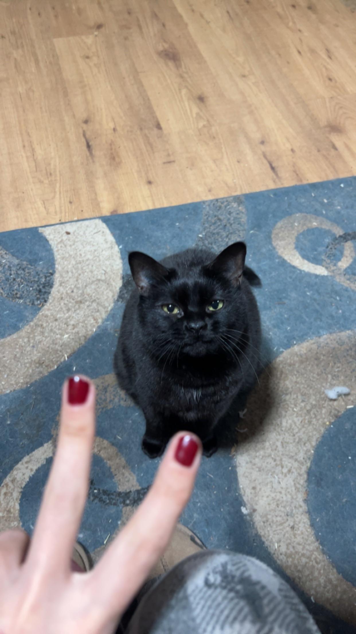 Seeking all screaming voids please. My serotonin needs boosting. | Scrolller