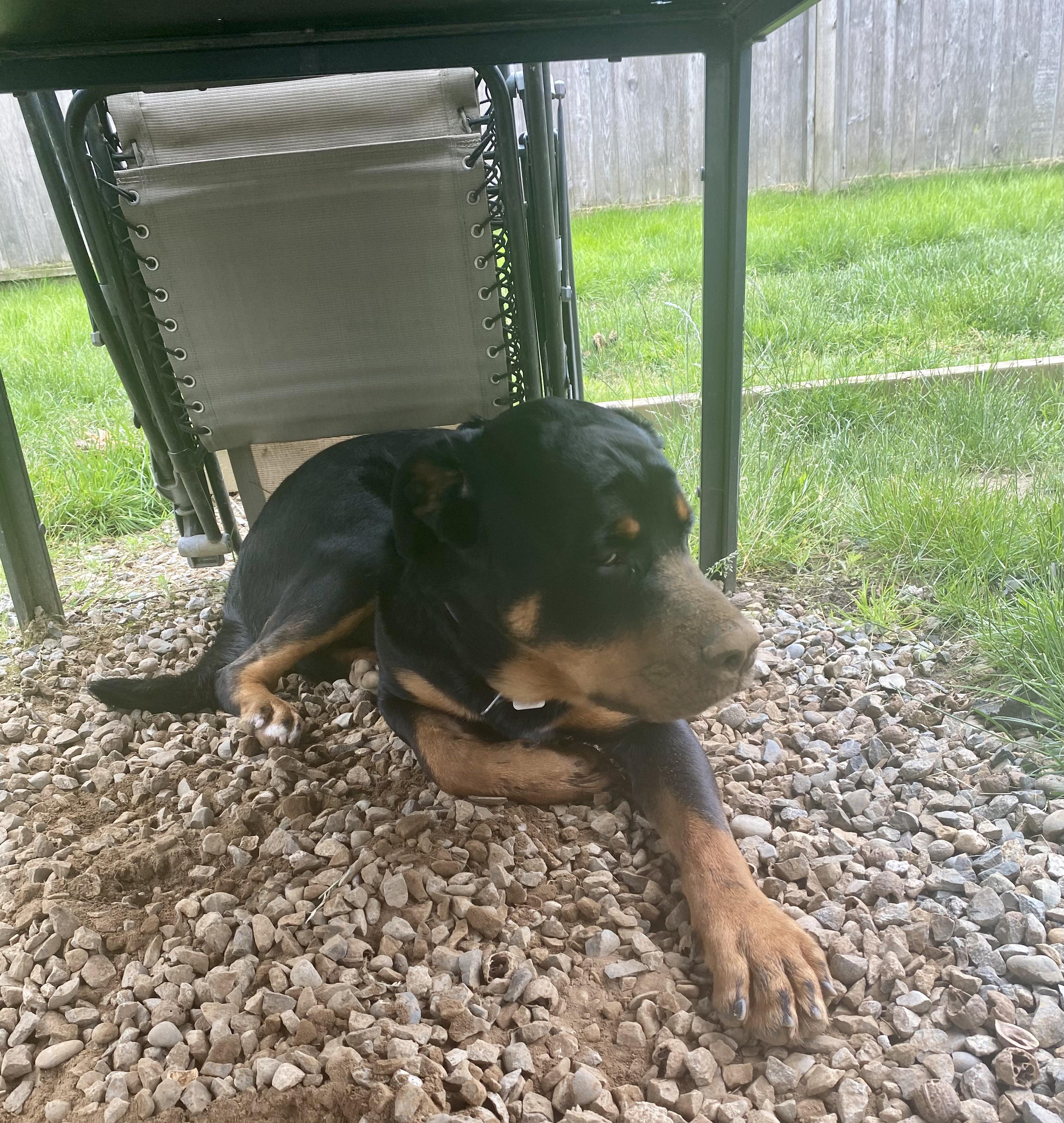 Brown nose | Scrolller