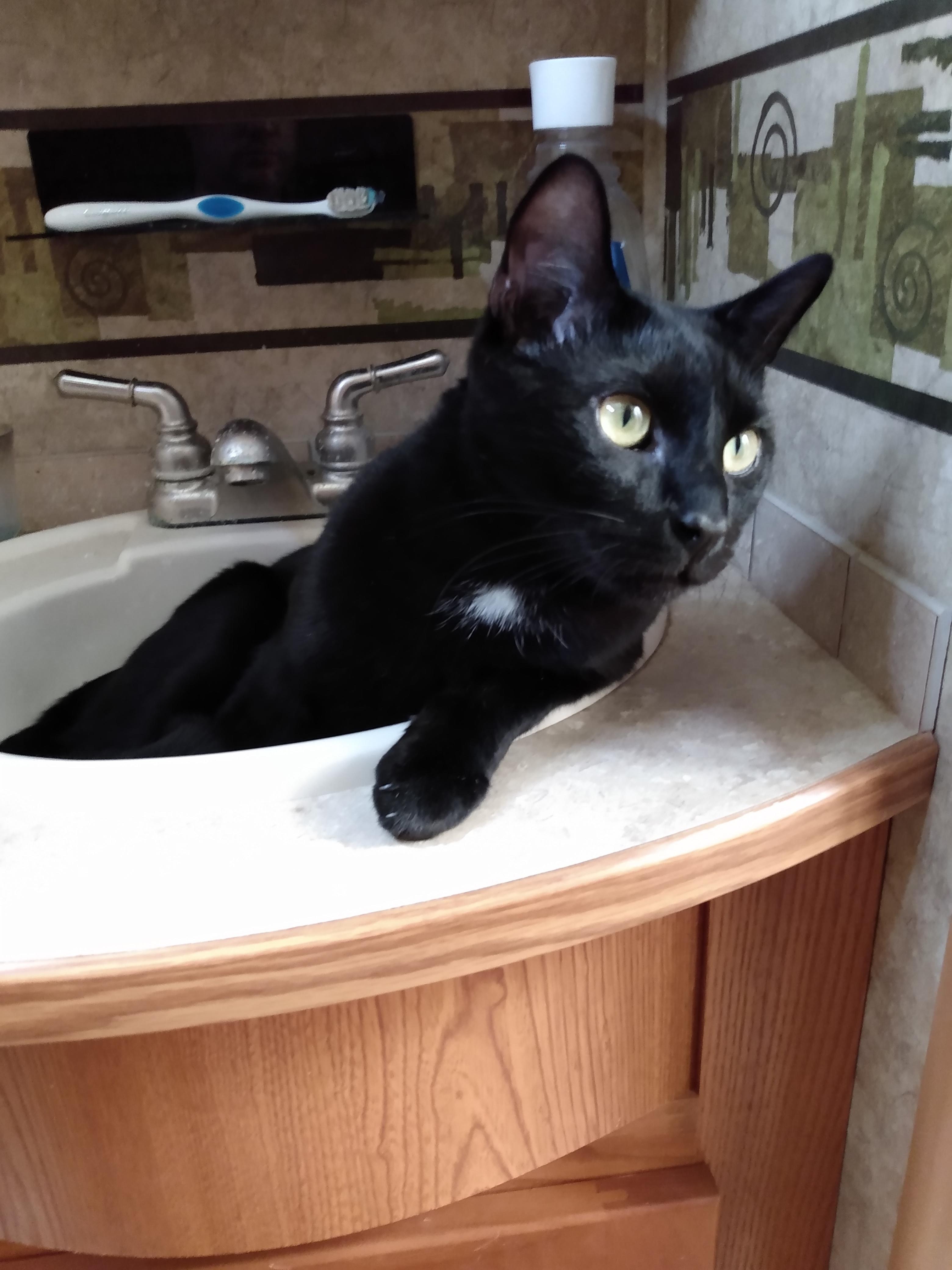 There's a void in my sink | Scrolller