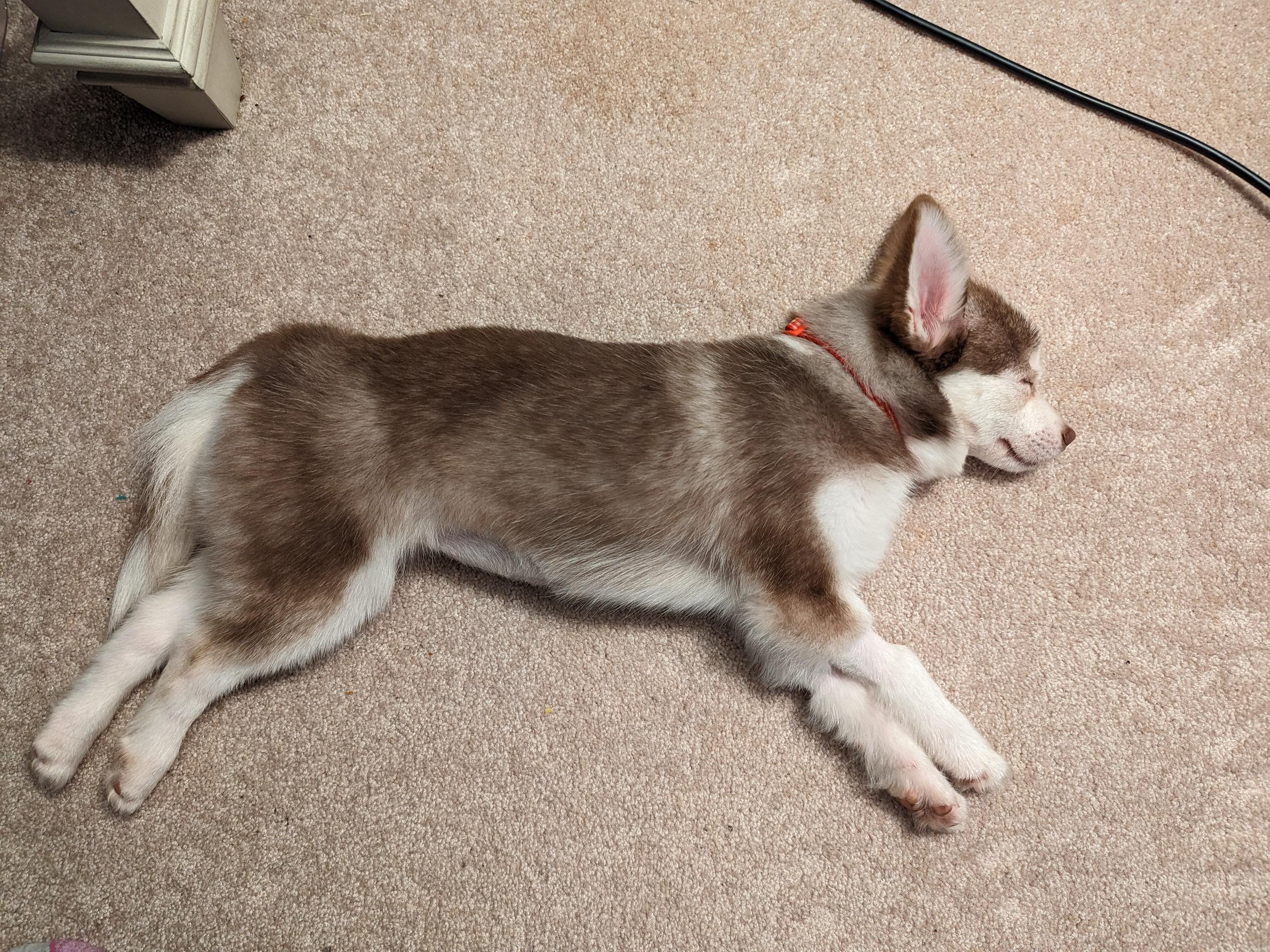 Battery Low, Recharging (OC) | Scrolller