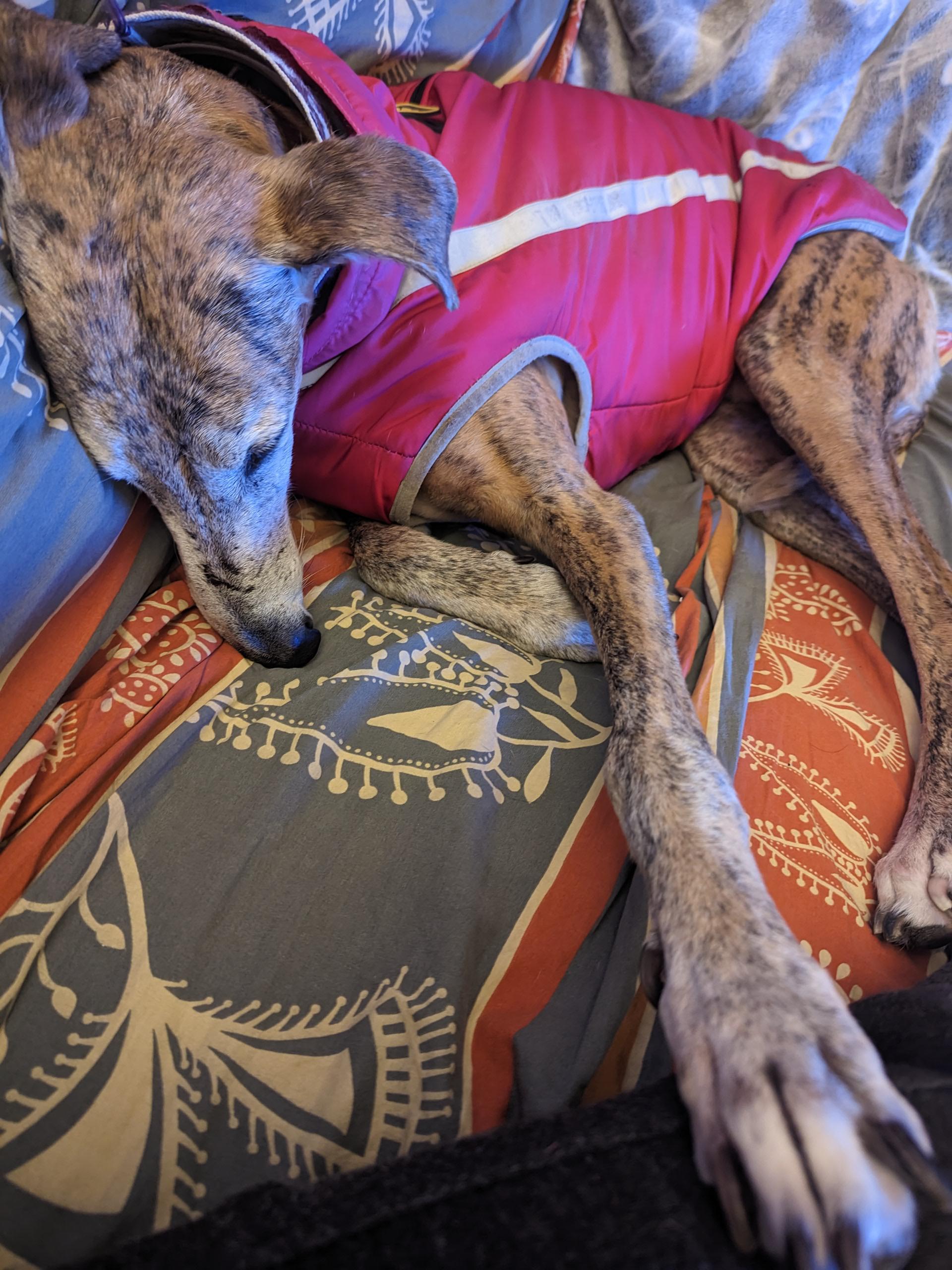 Comfort is relative | Scrolller