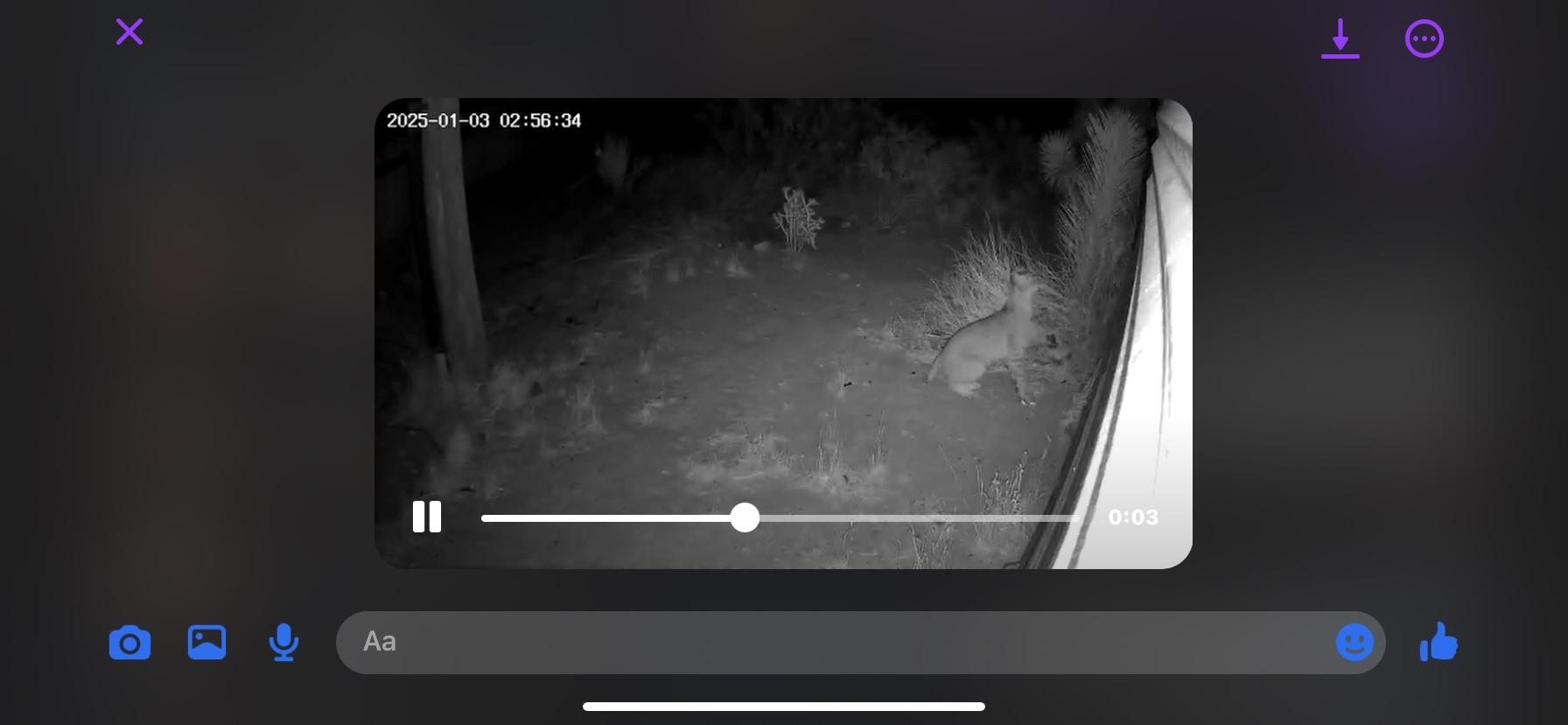 Bobcat issue | Scrolller