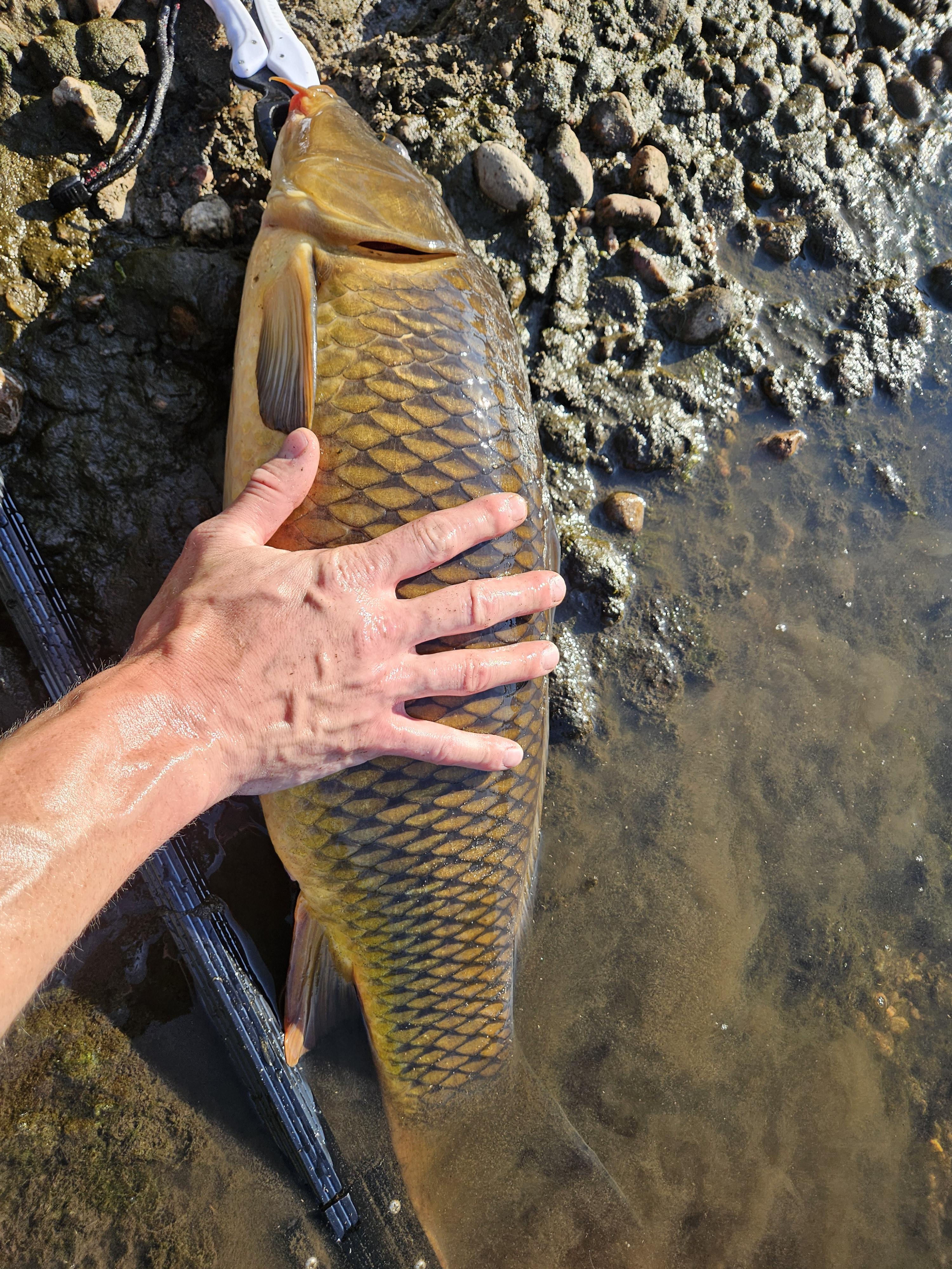 Finally got this monster hooked up | Scrolller