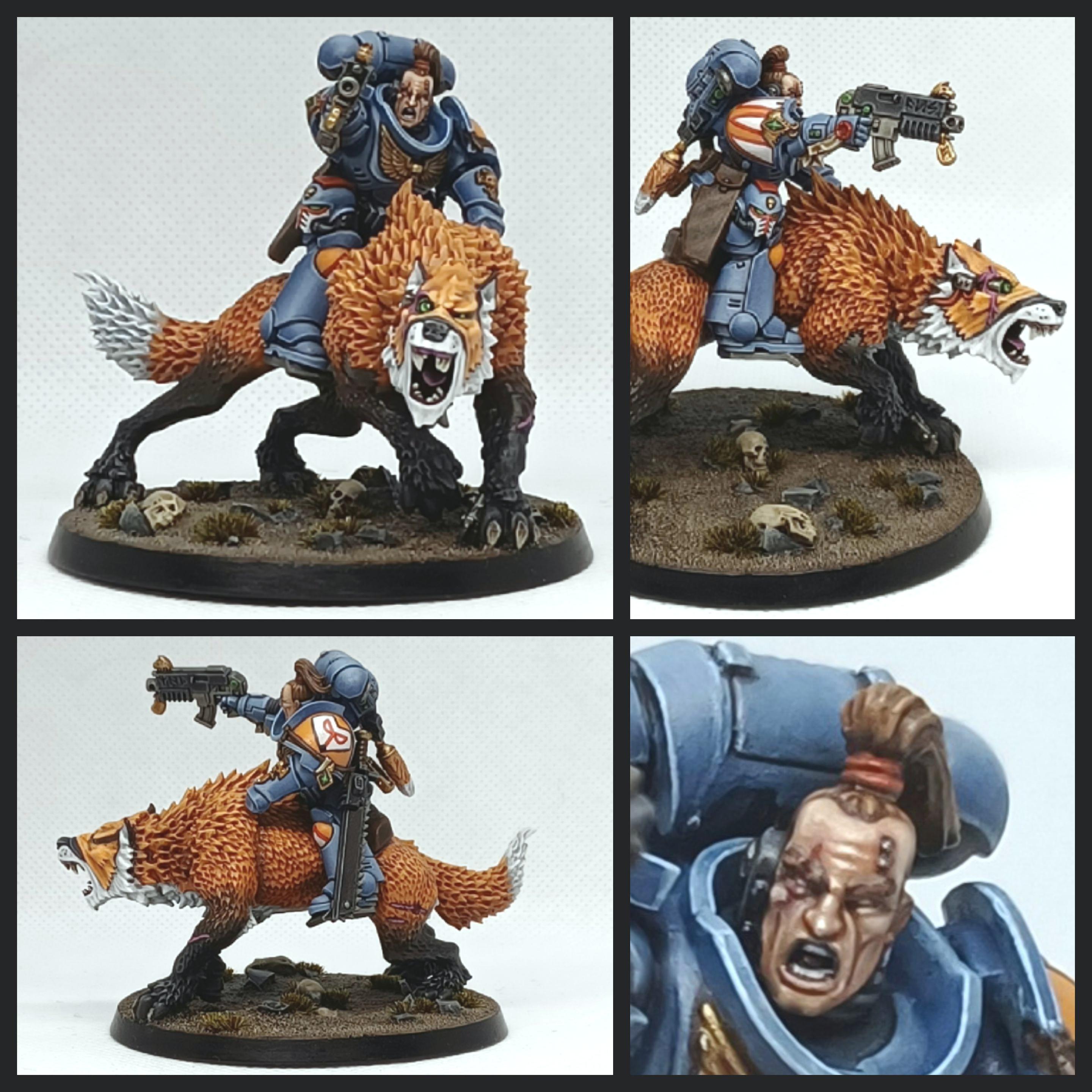 Thunderfox Cavalry Pack Leader | Scrolller