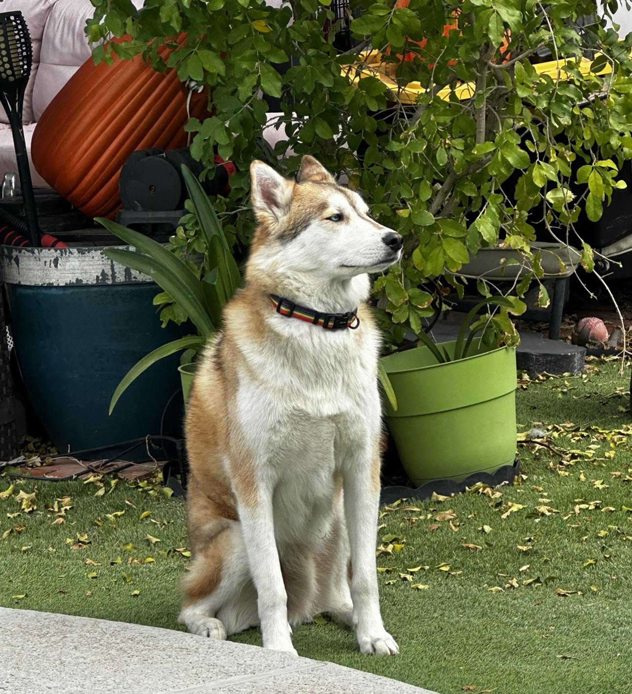 The rbf on this one is insane | Scrolller