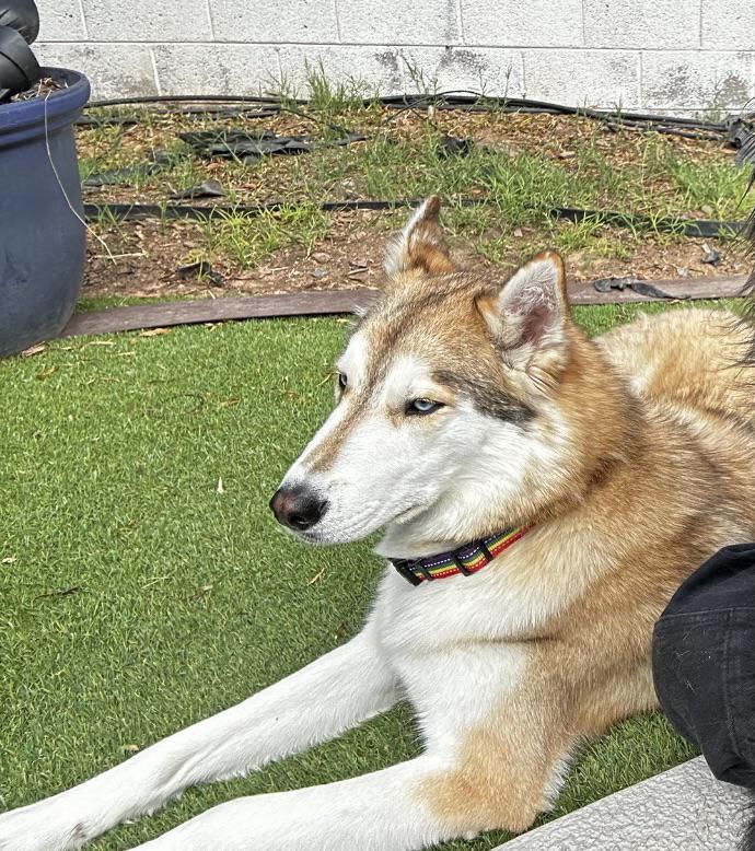 The rbf on this one is insane | Scrolller