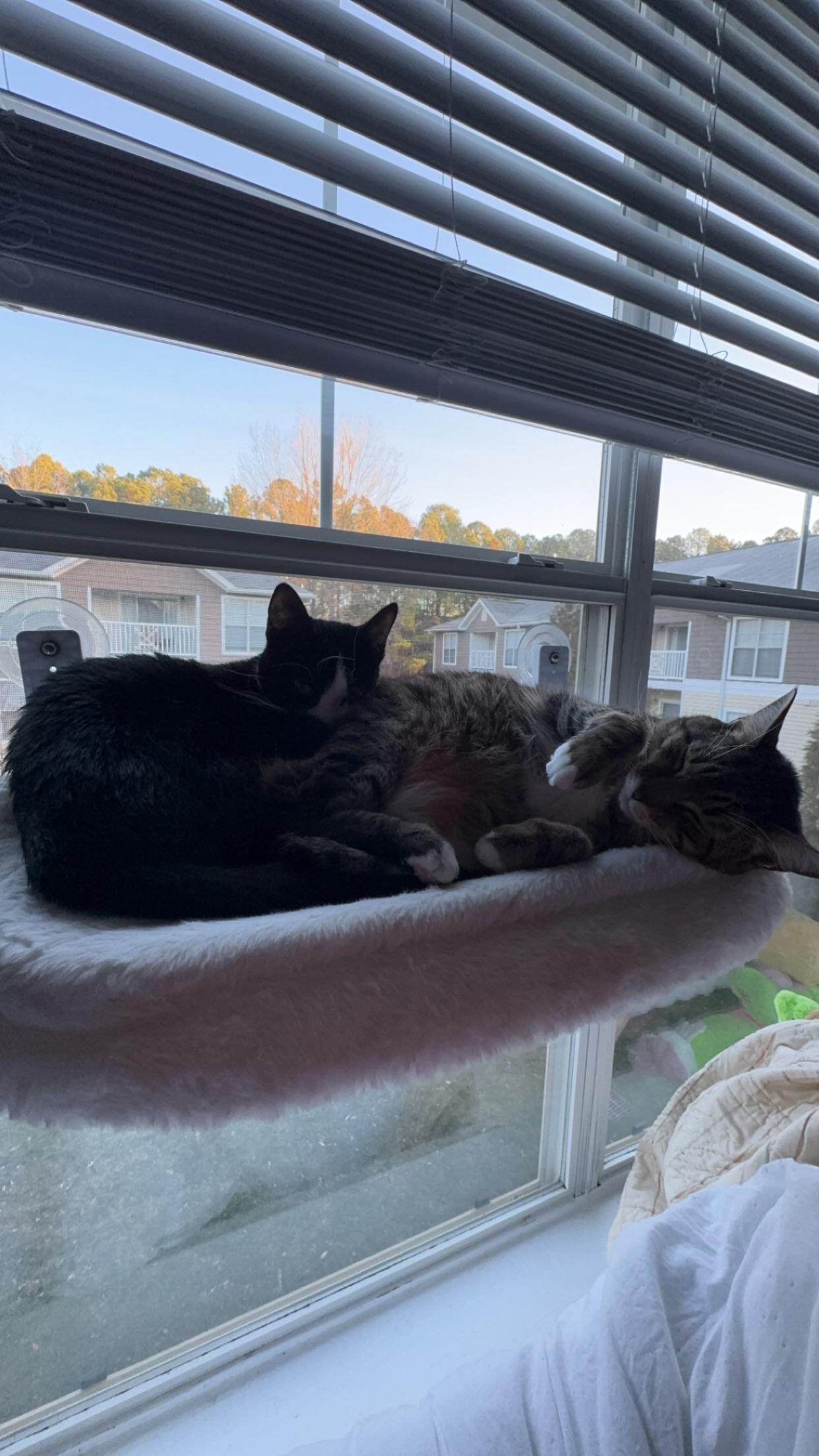 Since you guys loved Winnie, here’s more of “The Creature” | Scrolller