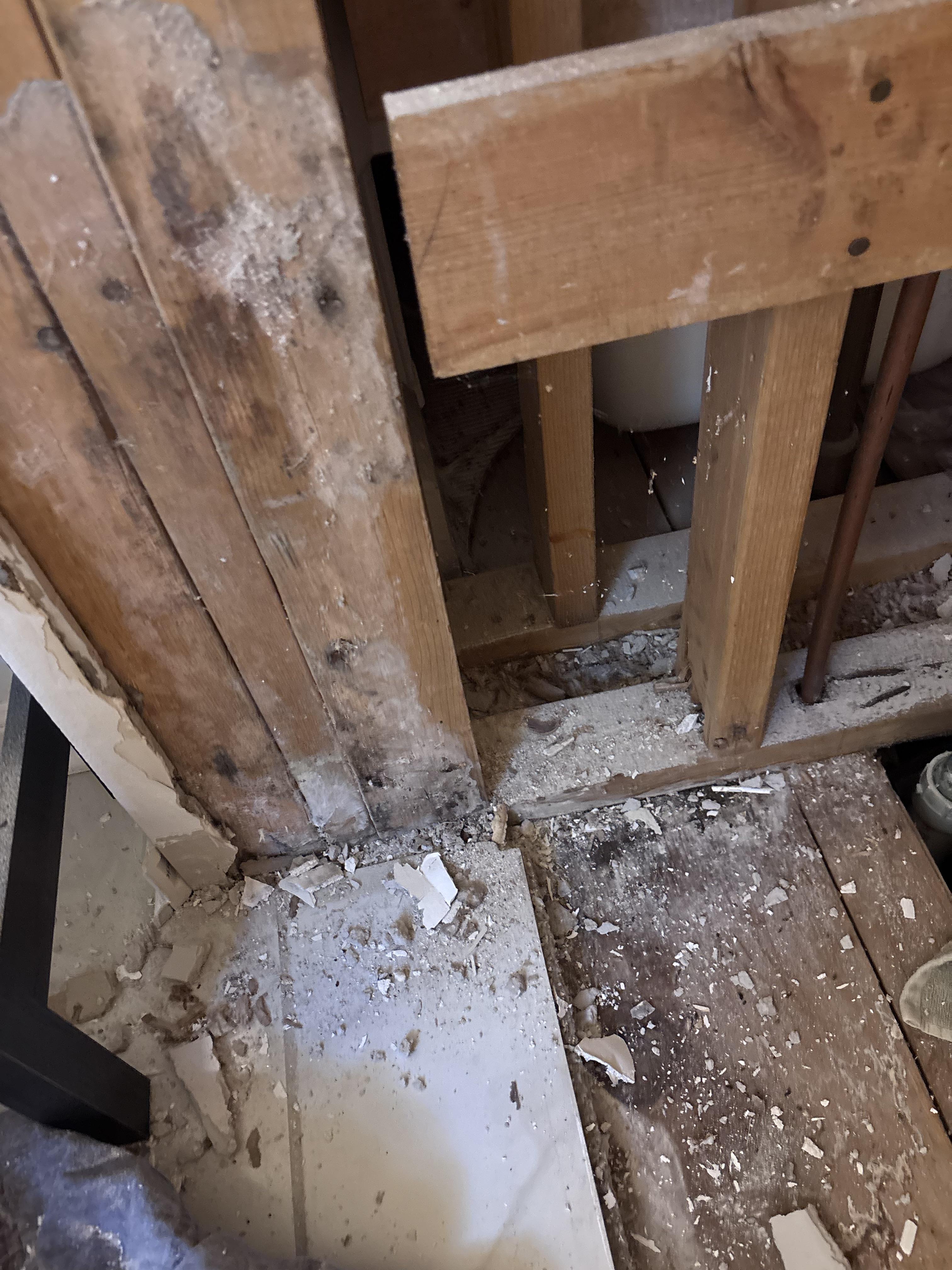 Shower Remodel Water Damage | Scrolller