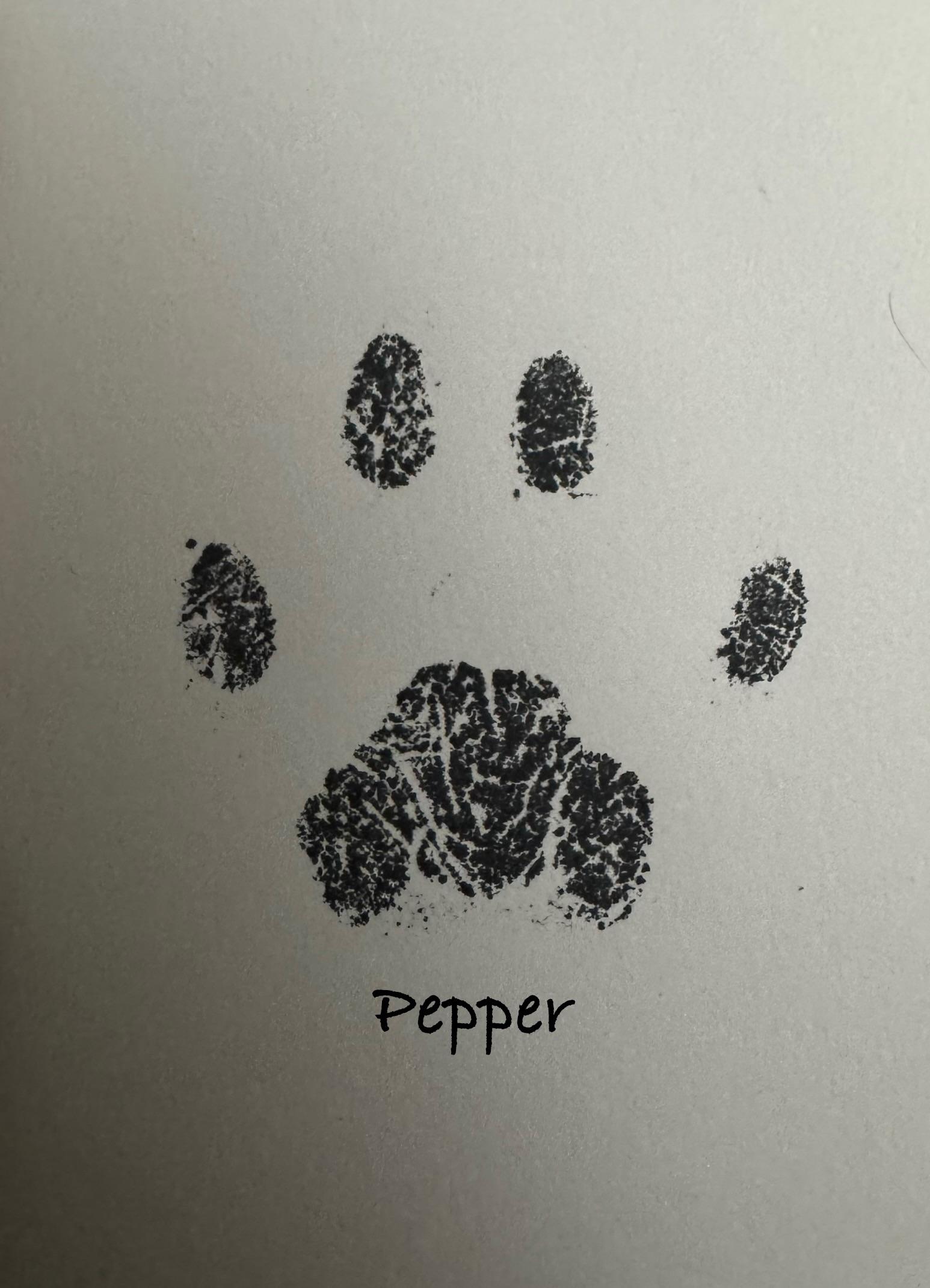 Here’s the result everyone was hating or loving | Scrolller