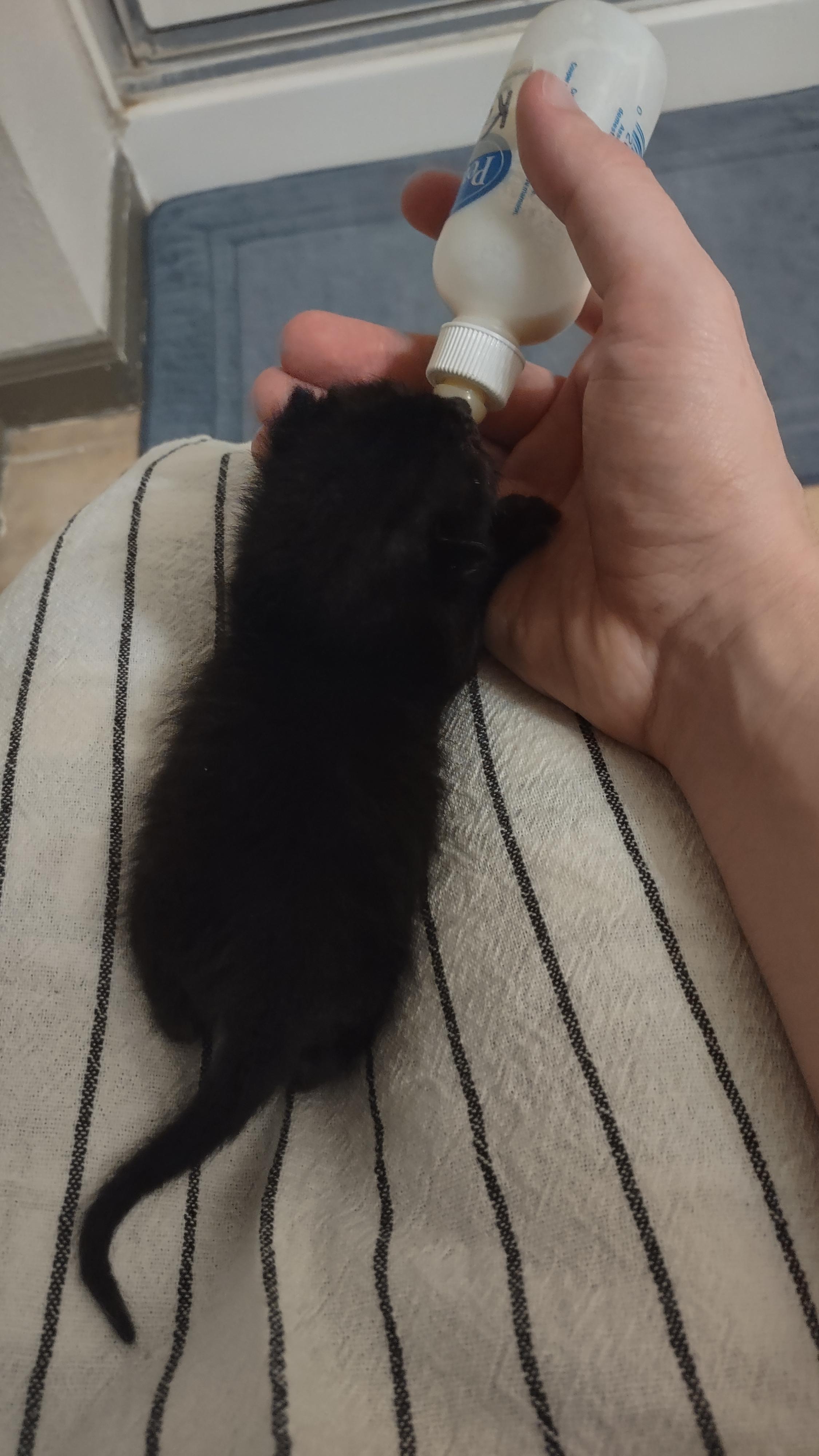 My little bottle void | Scrolller