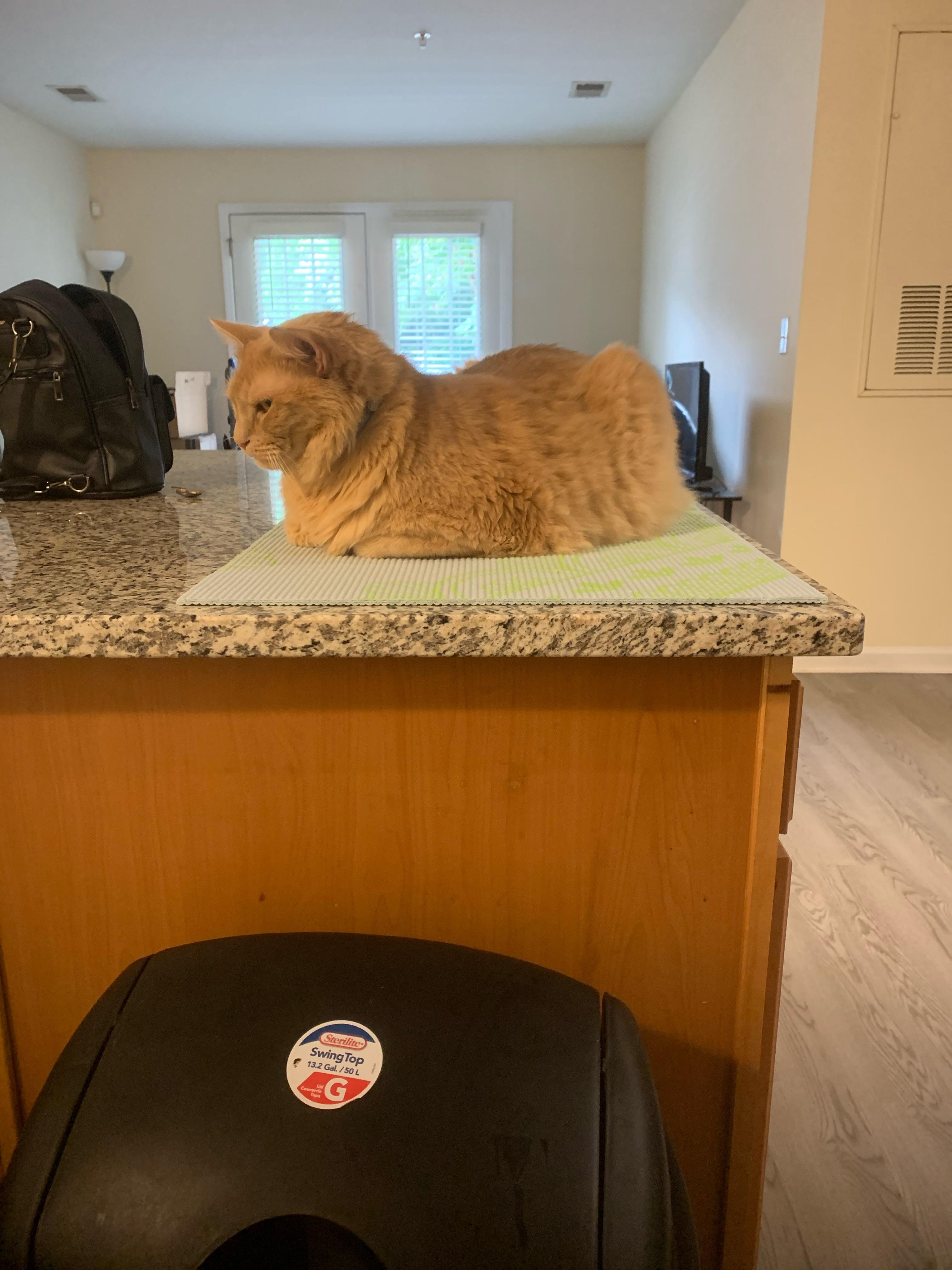 Max with them hips!! | Scrolller