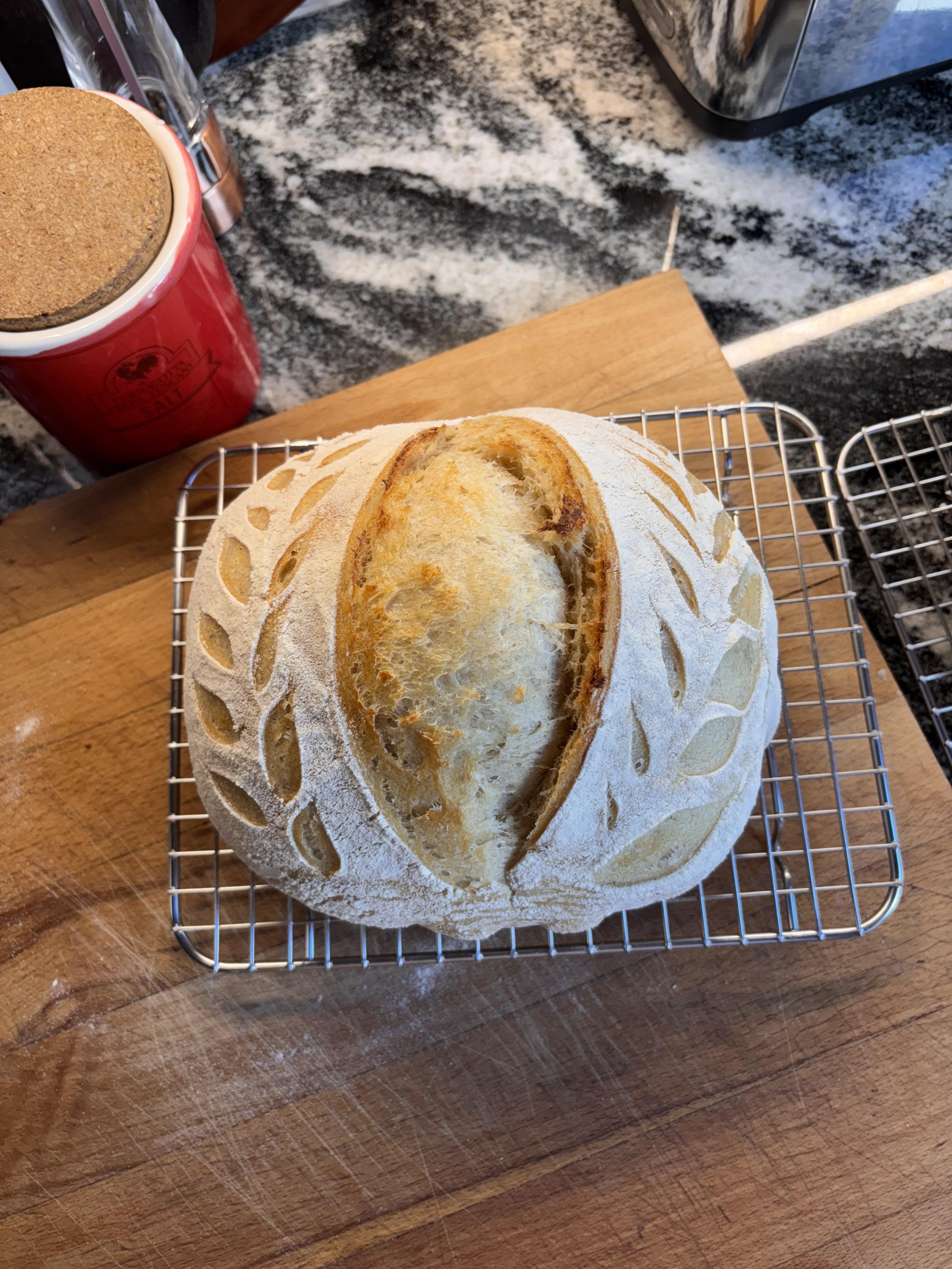 Weekly Bake | Scrolller