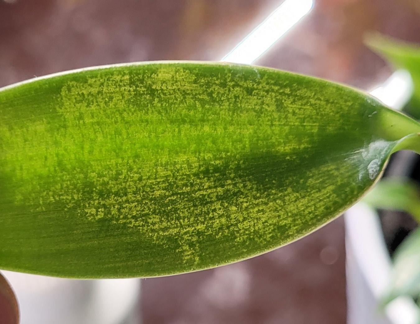 Tissue damage | Scrolller