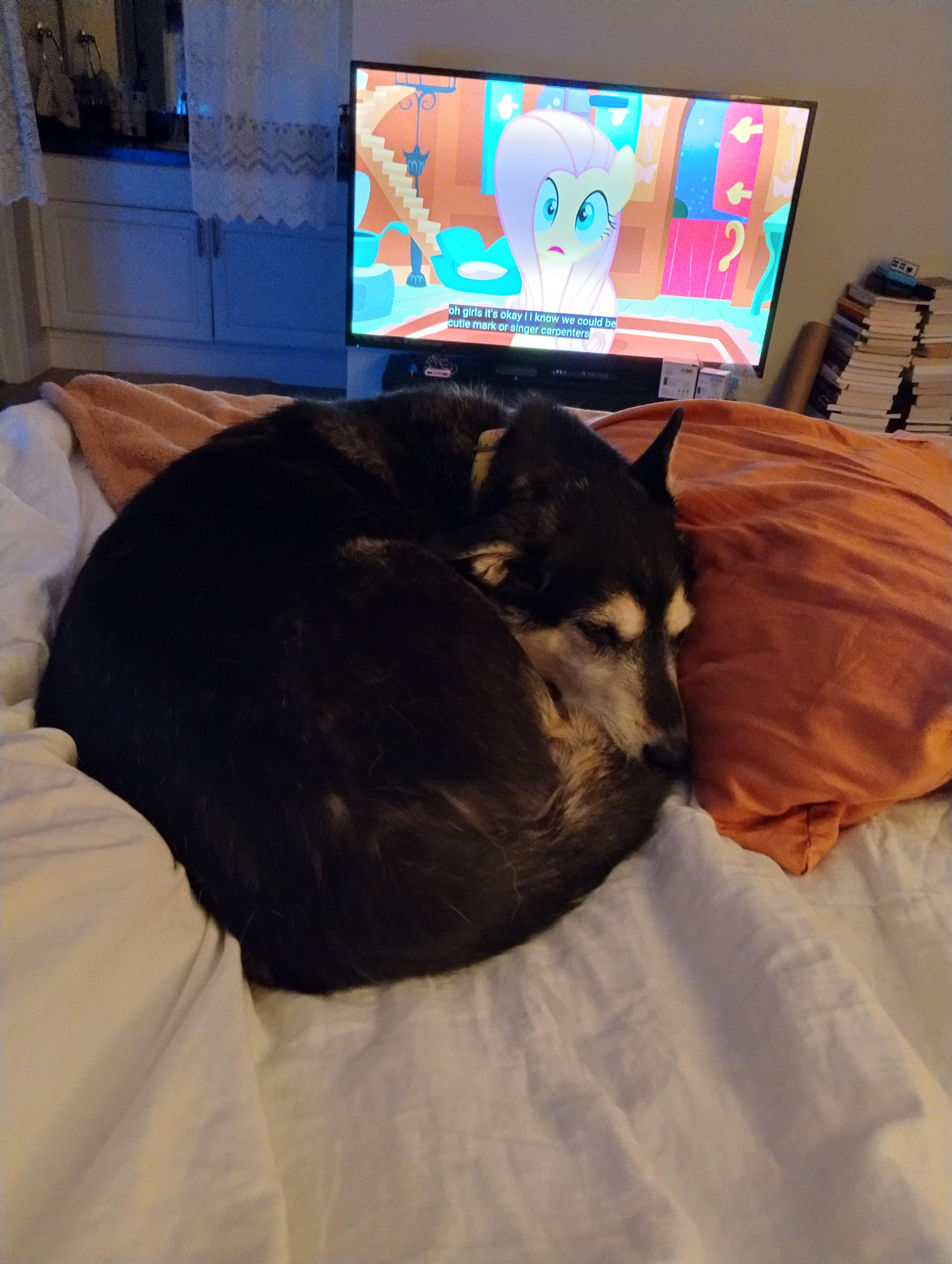 Kaia, my very special girl. | Scrolller