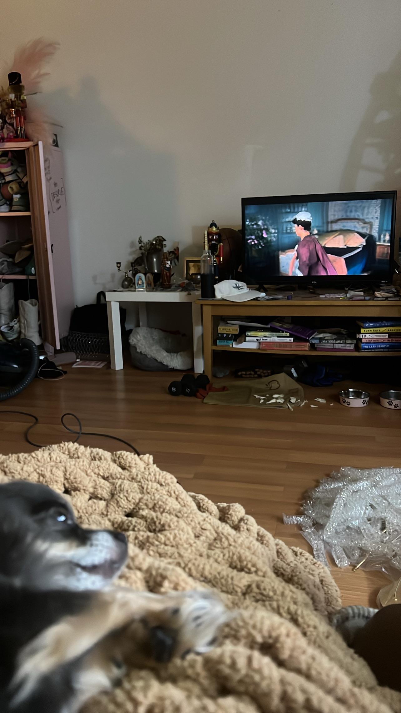 Guess what we’re watching on netflix :) | Scrolller