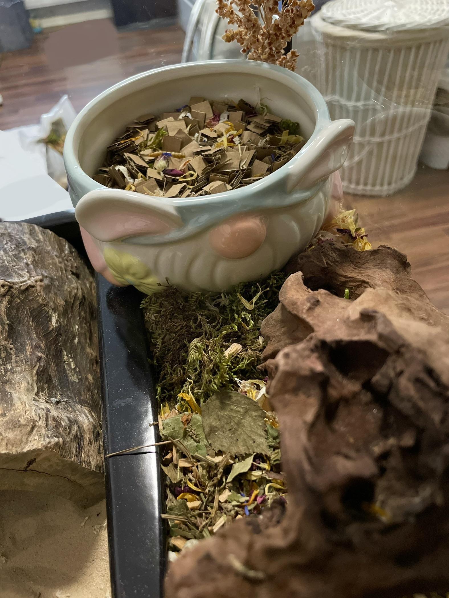 Cute enclosure details🌸 | Scrolller