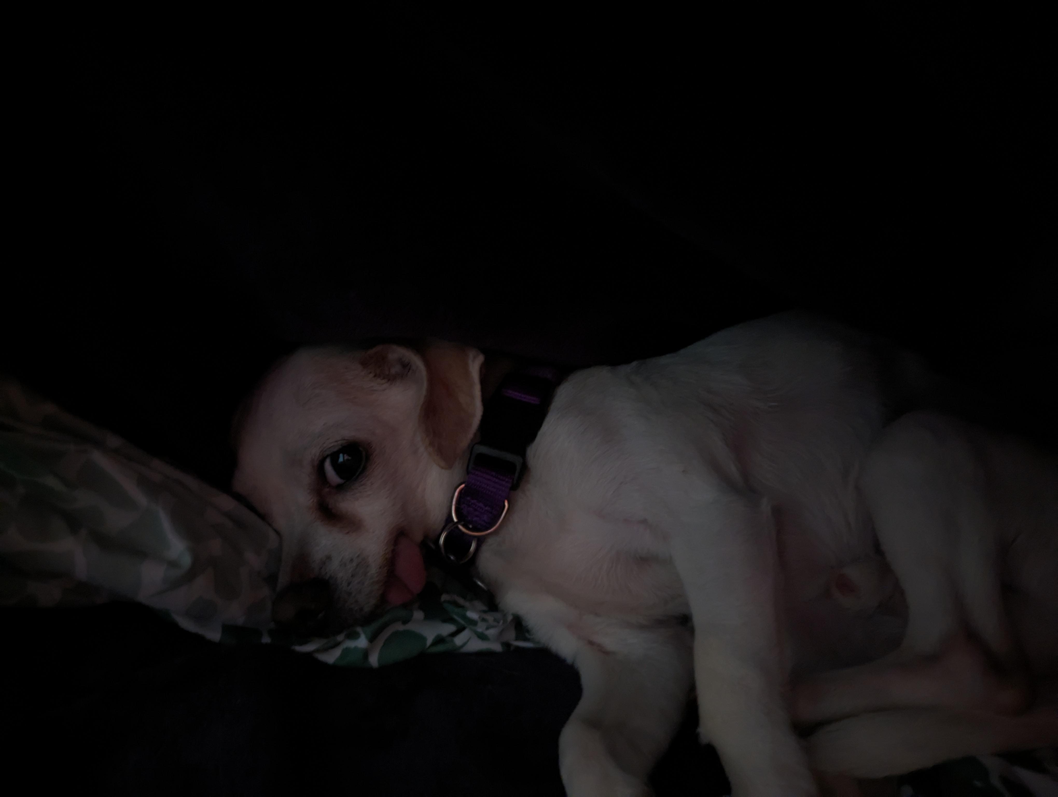 Casper appreciation post | Scrolller