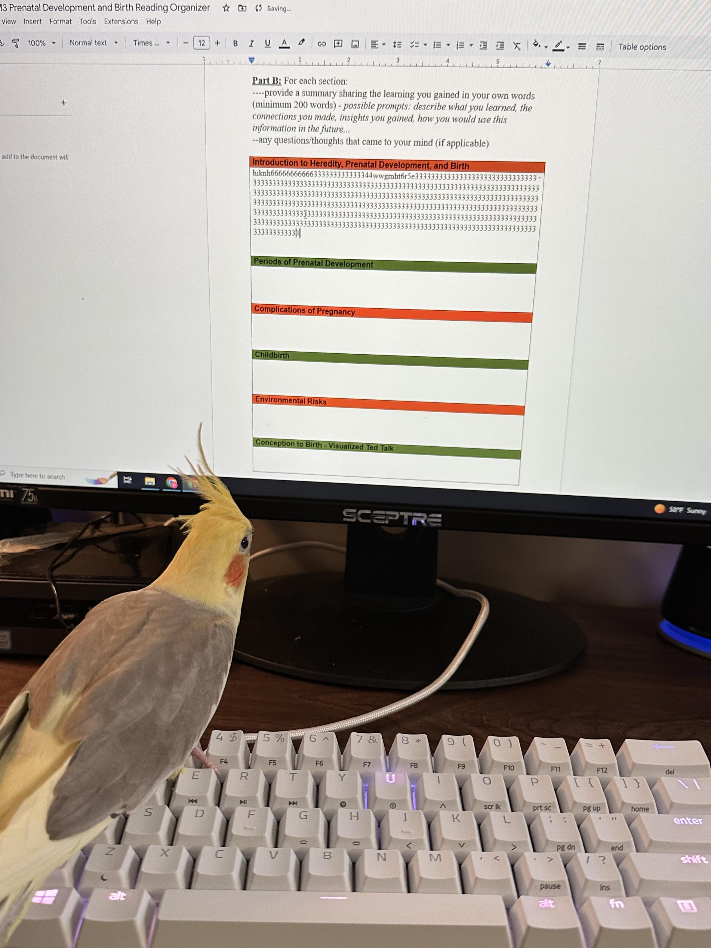 Someone did my homework for me 😅 | Scrolller