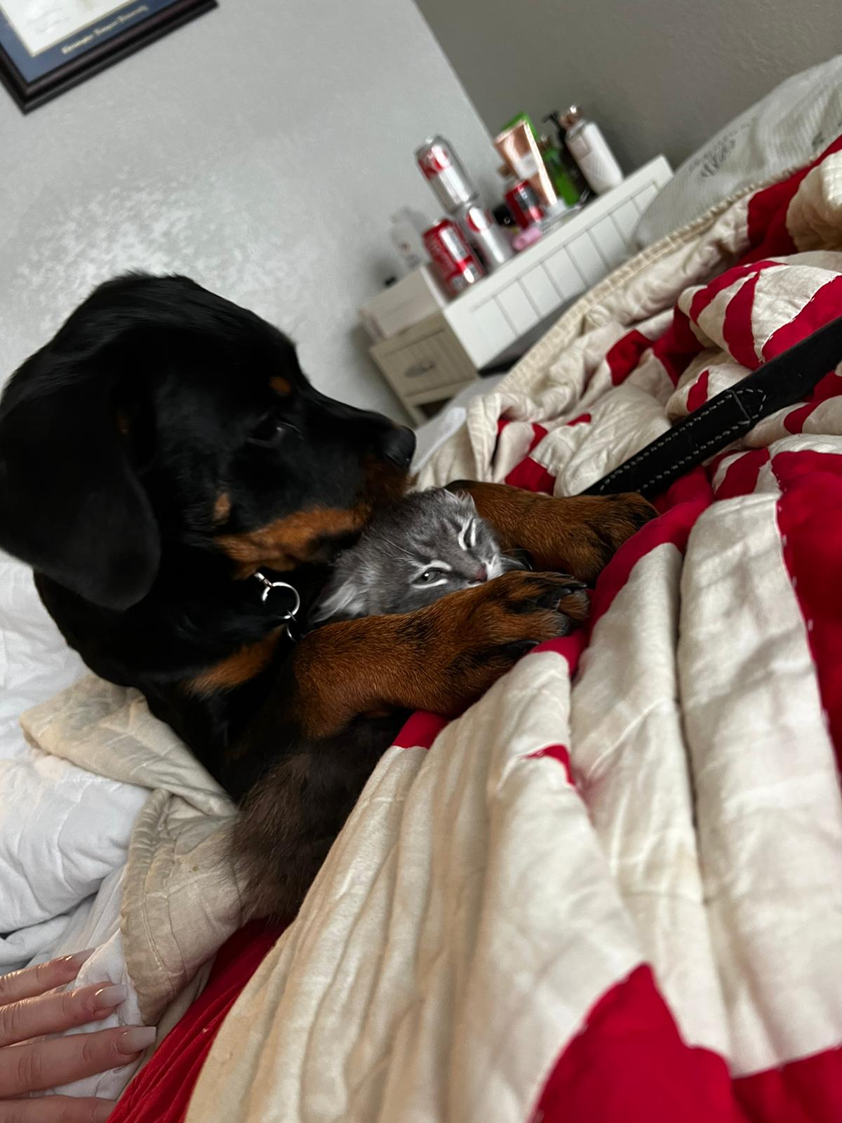 Cleaning Her New Brother. | Scrolller