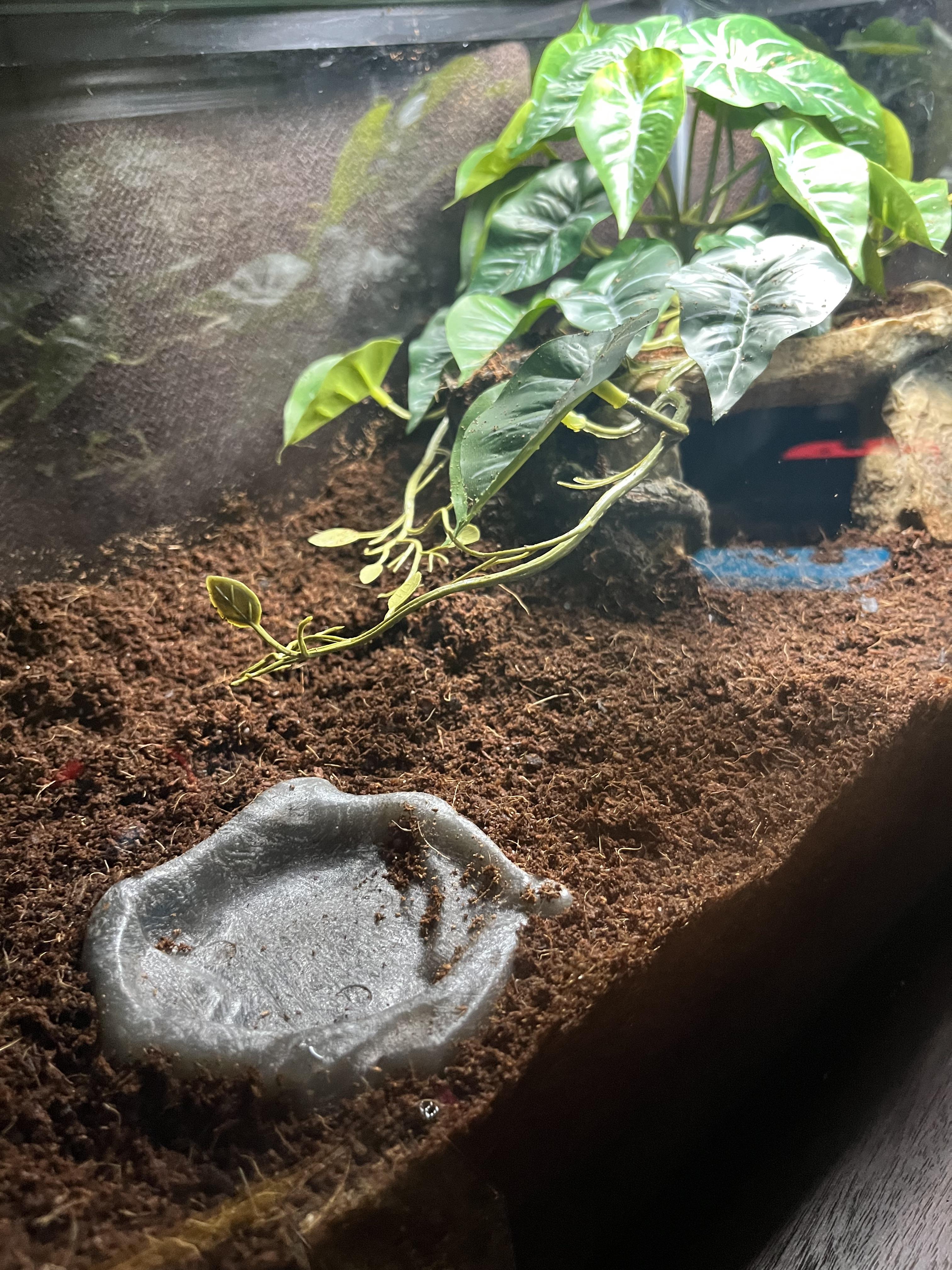 Update on new enclosure | Scrolller