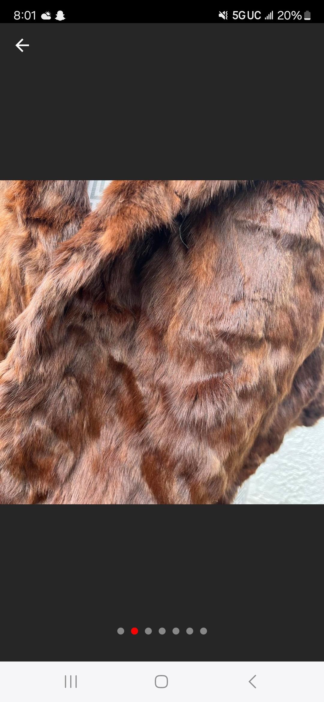 Fur identification? | Scrolller