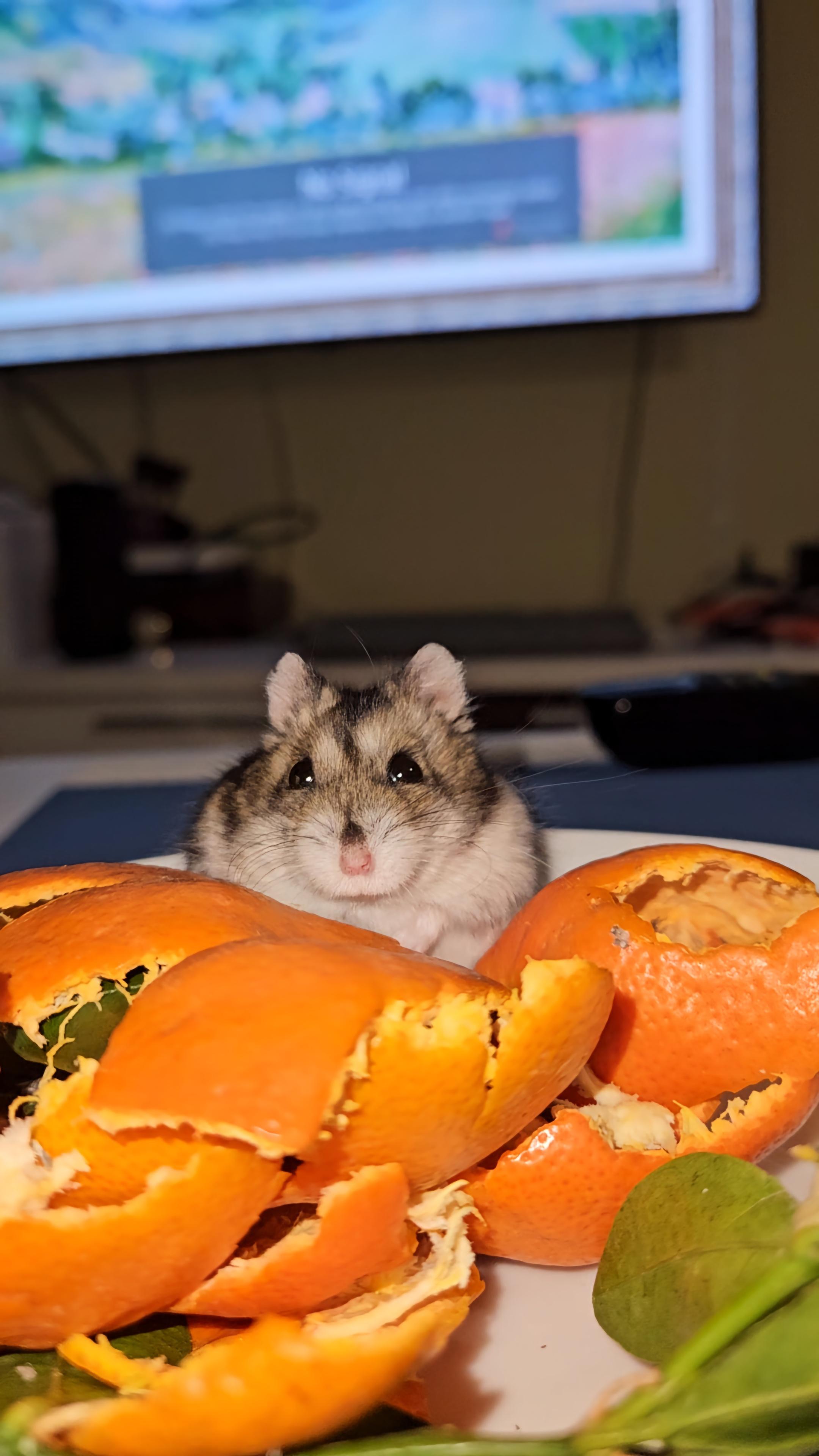 Some pictures of Karen | Scrolller