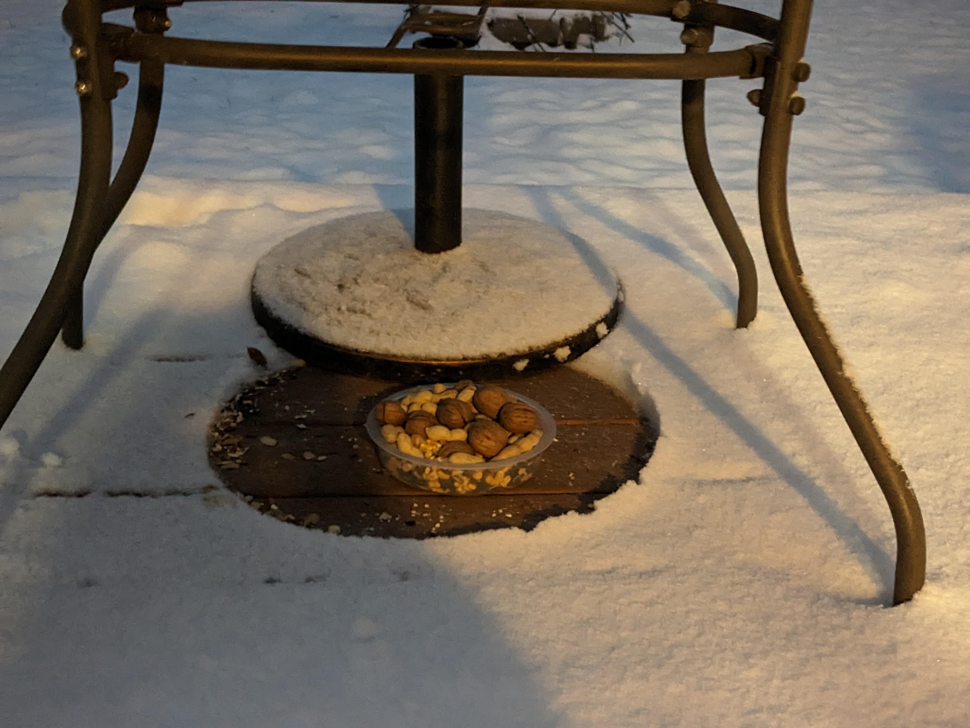 Water and Food for the Storm | Scrolller