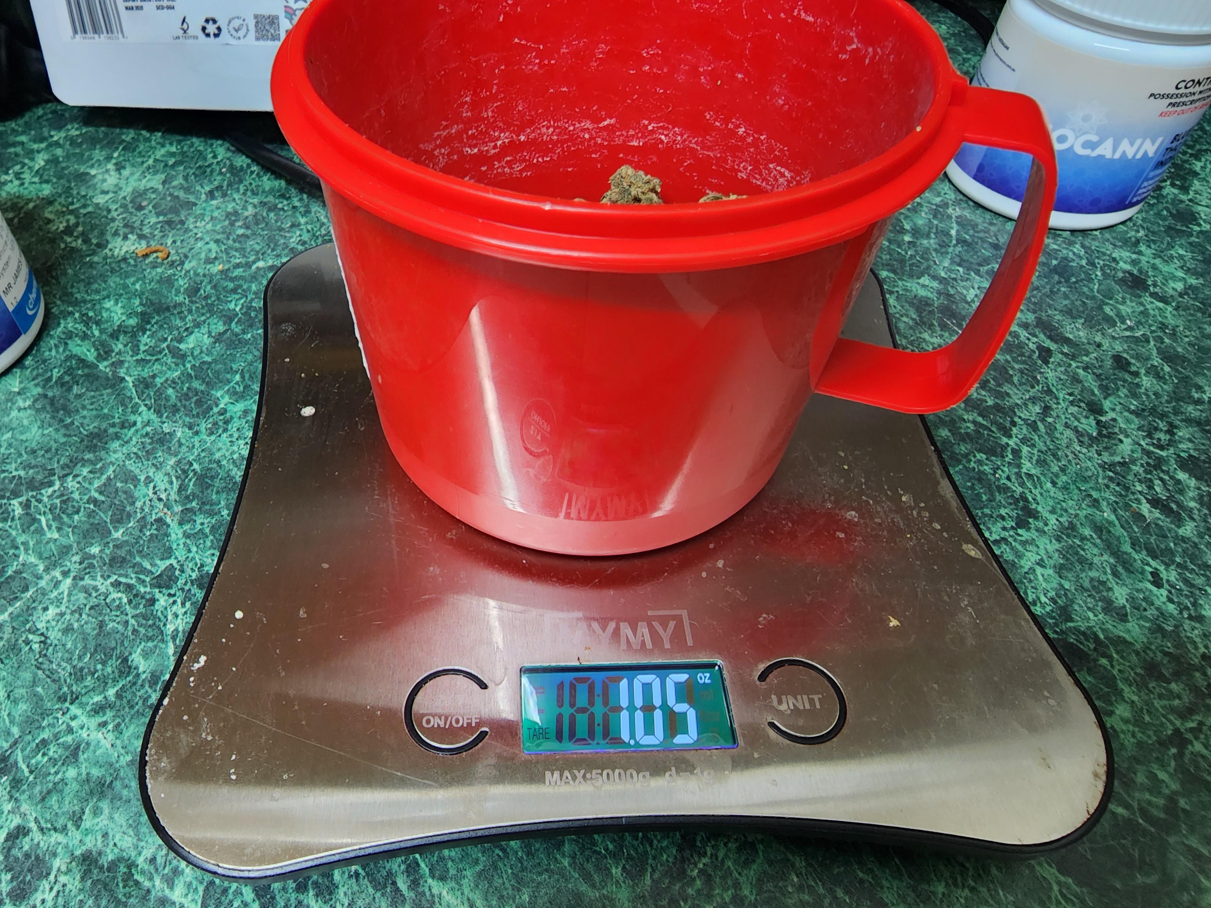 Made my first ever batch of cannabutter! | Scrolller