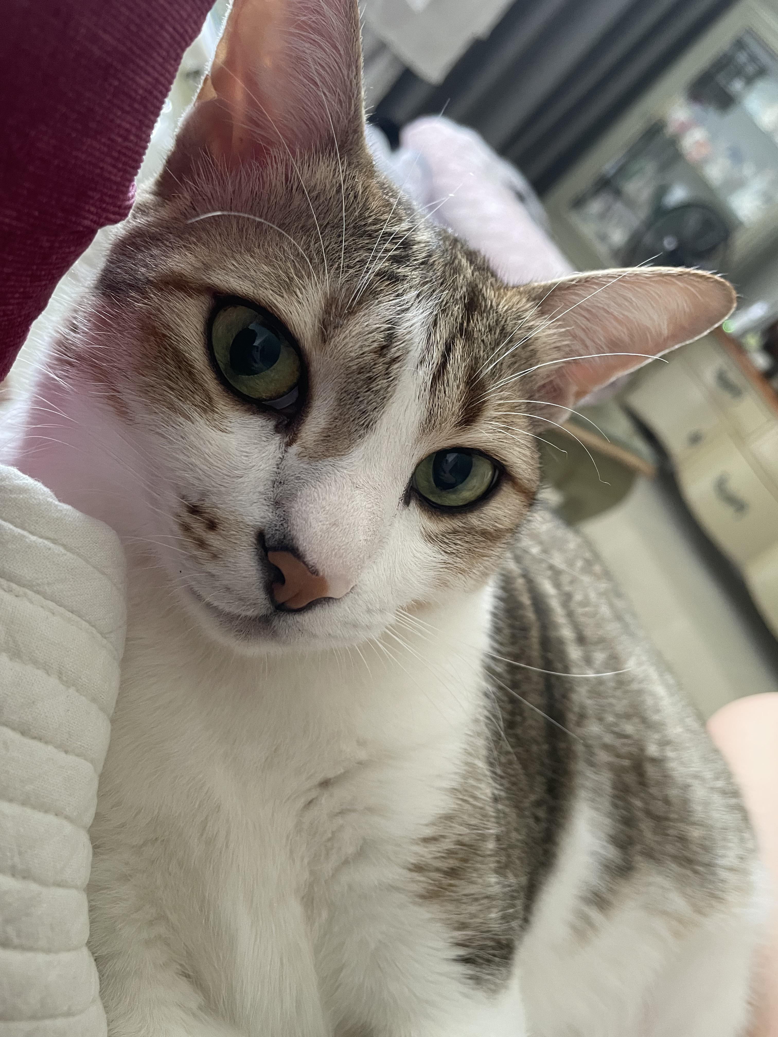 My handsome bb | Scrolller