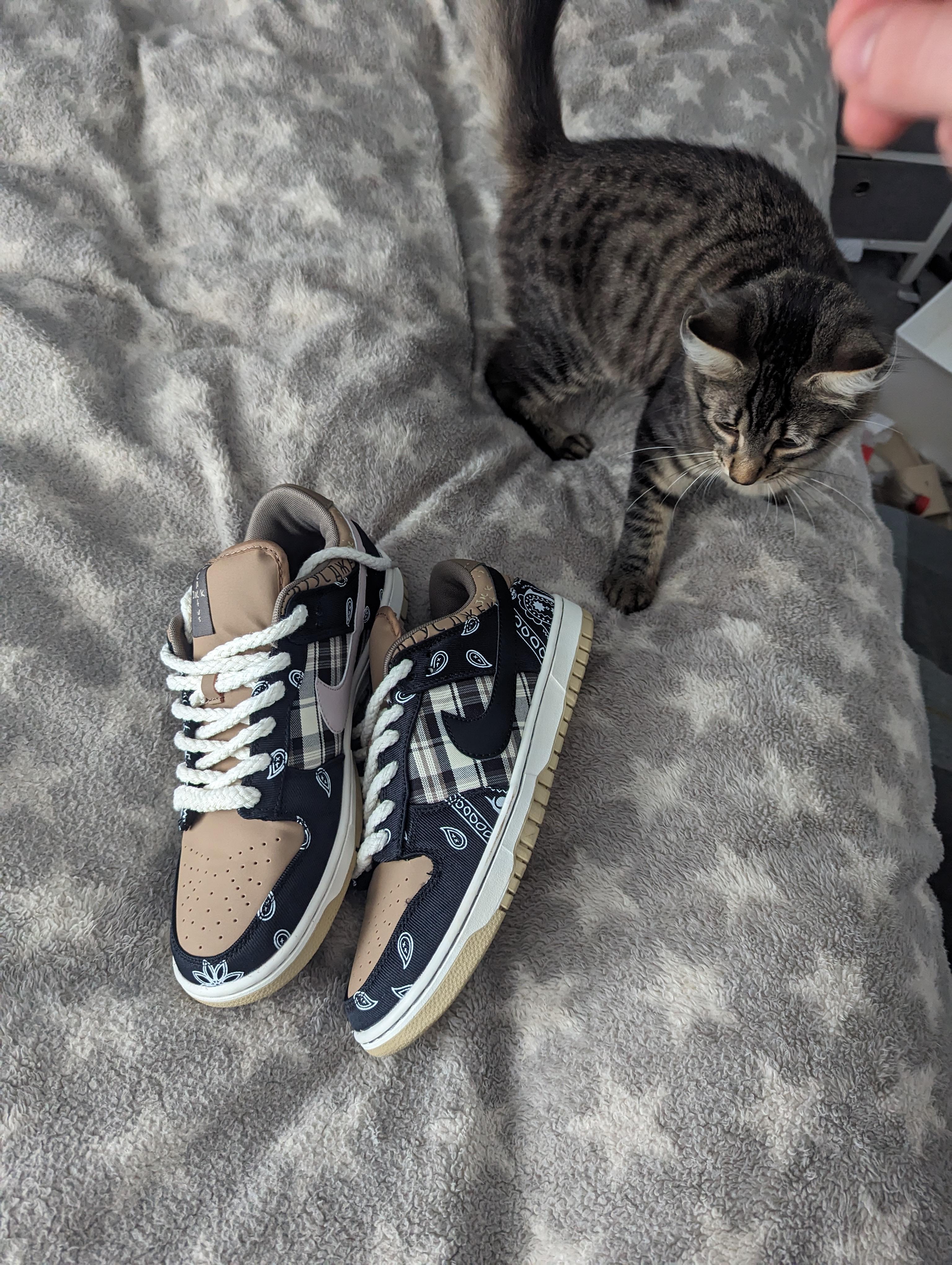 Travis Scott Nike SB Dunks (thoughts?) | Scrolller