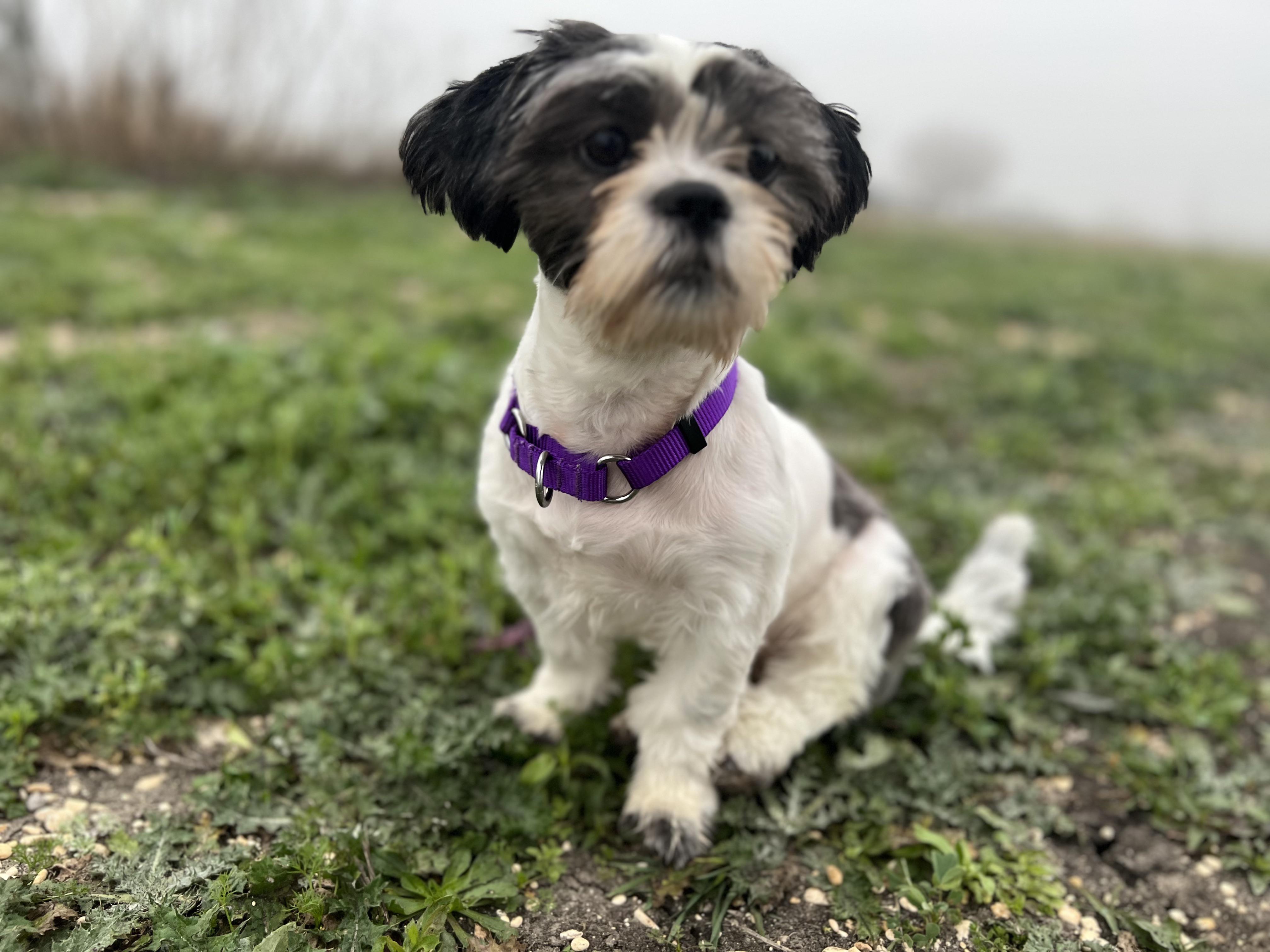 Potty training | Scrolller