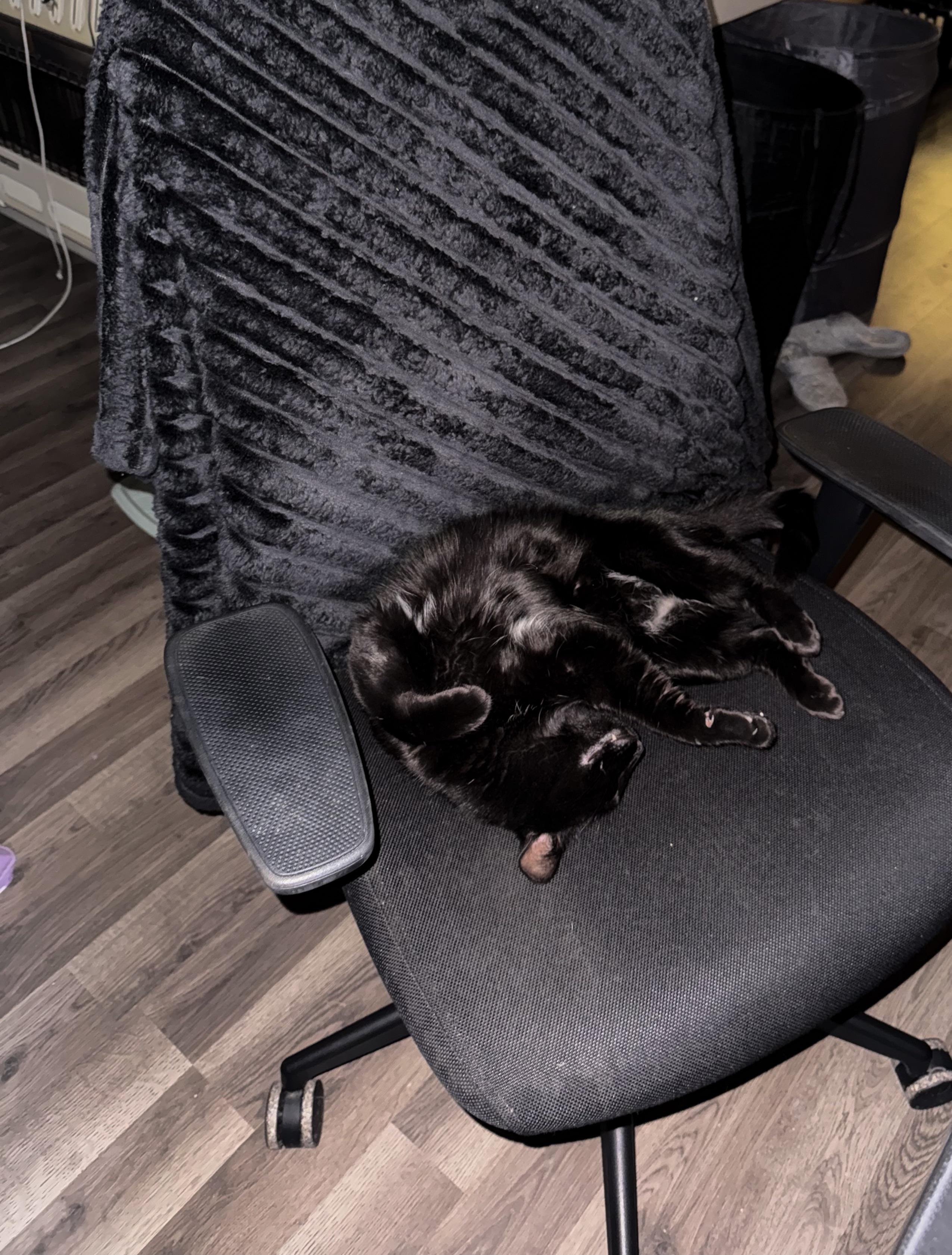 Cozy void | Scrolller