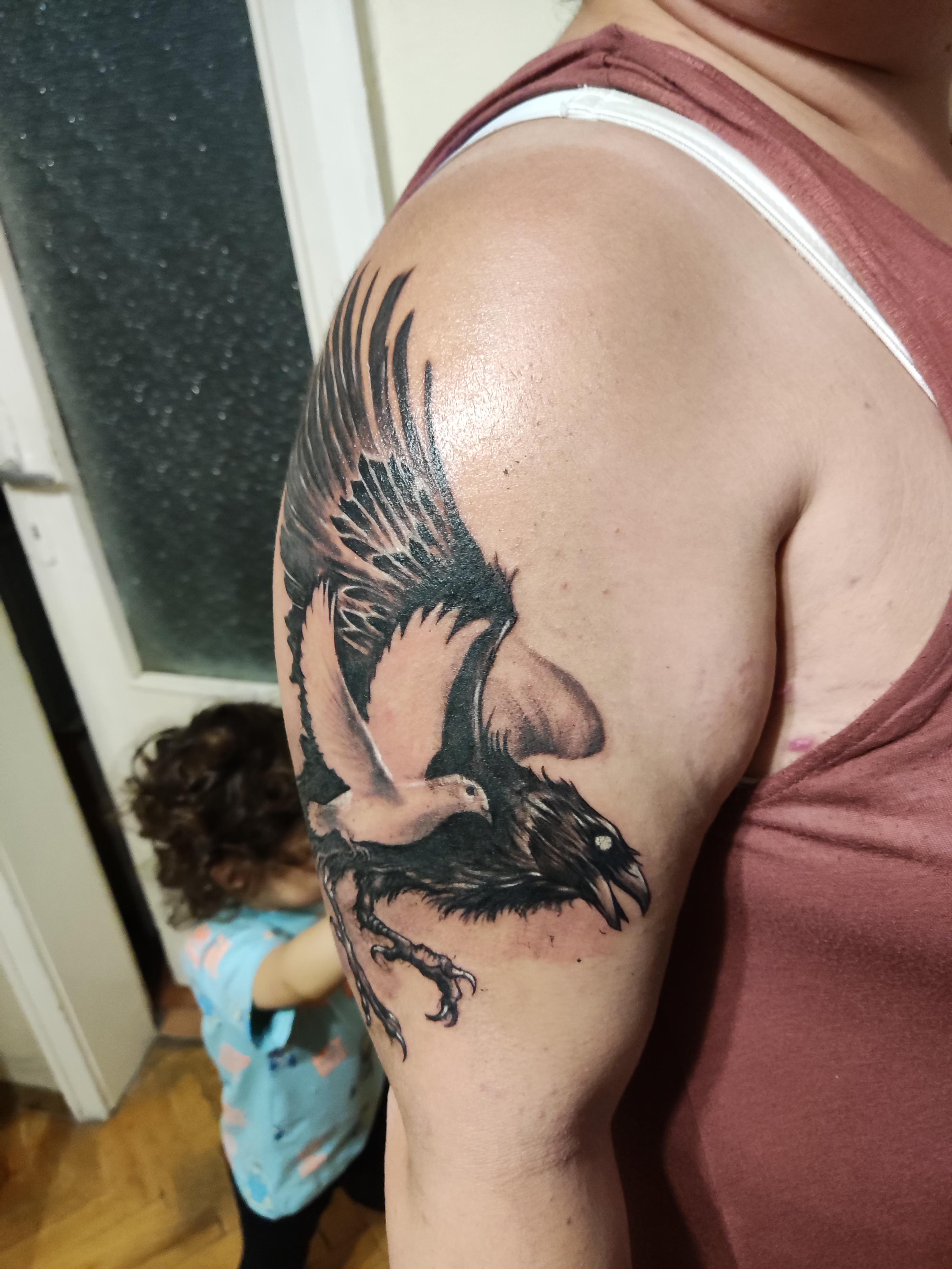 Yes or No? | Scrolller