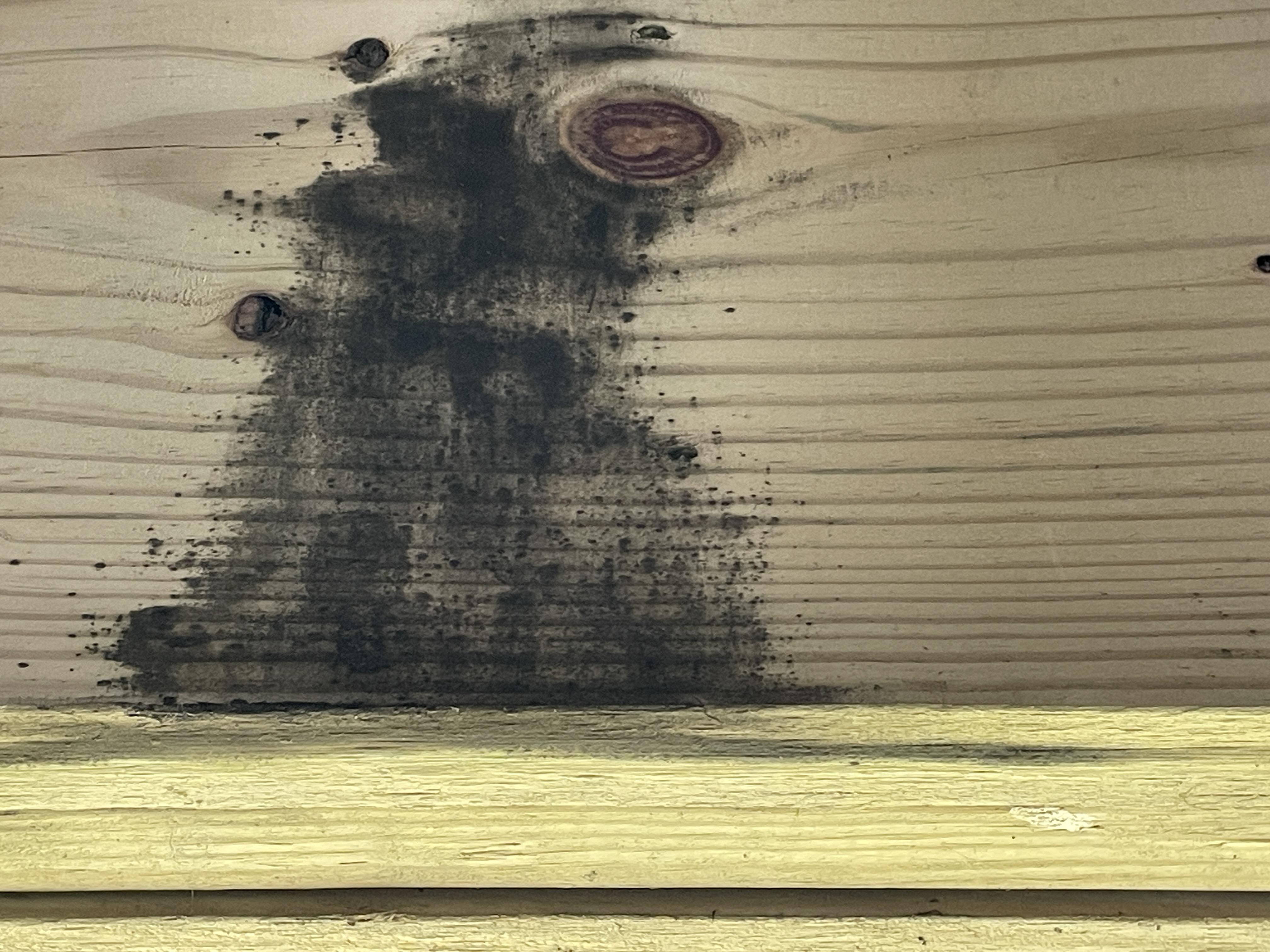 Mold underneath deck? | Scrolller