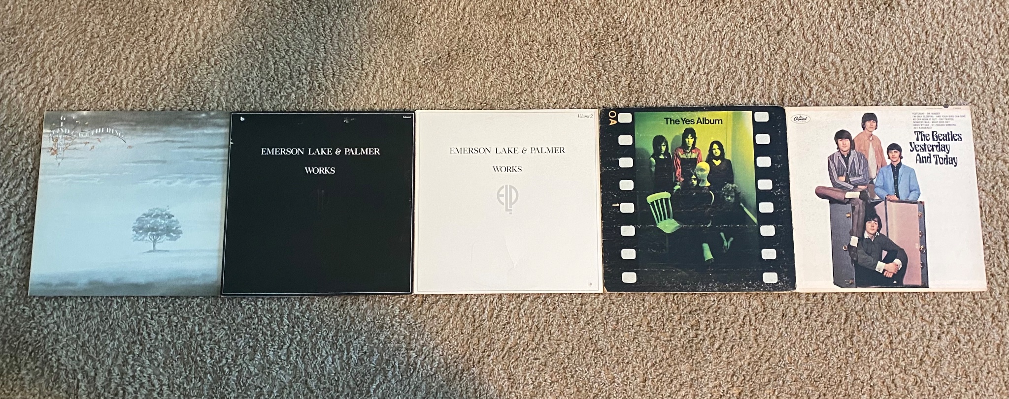 Current Record Collection/Introduction | Scrolller