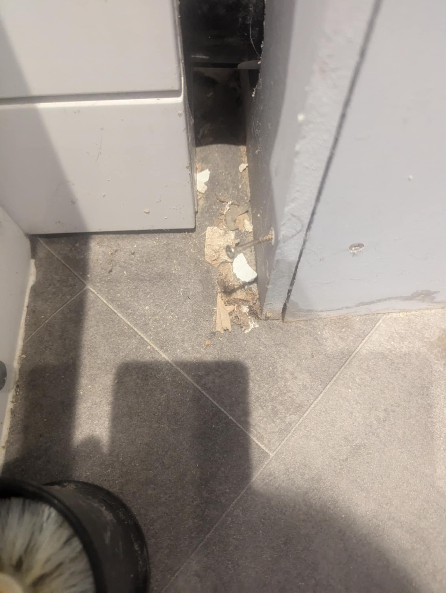 Discover more like Home: What pest can cause this type of damage? and Related Content | Scrolller