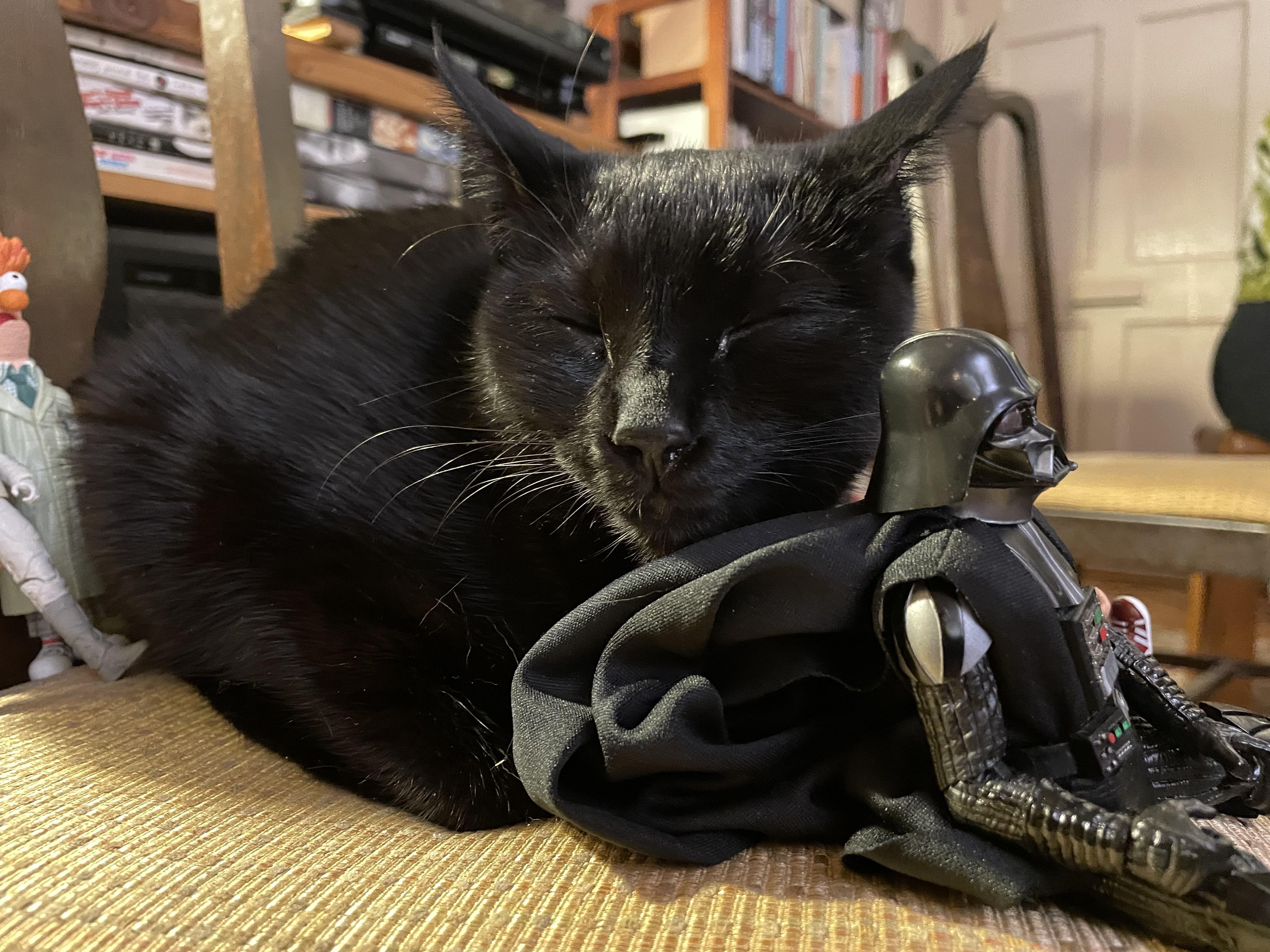 Moira and her Darth Vader | Scrolller