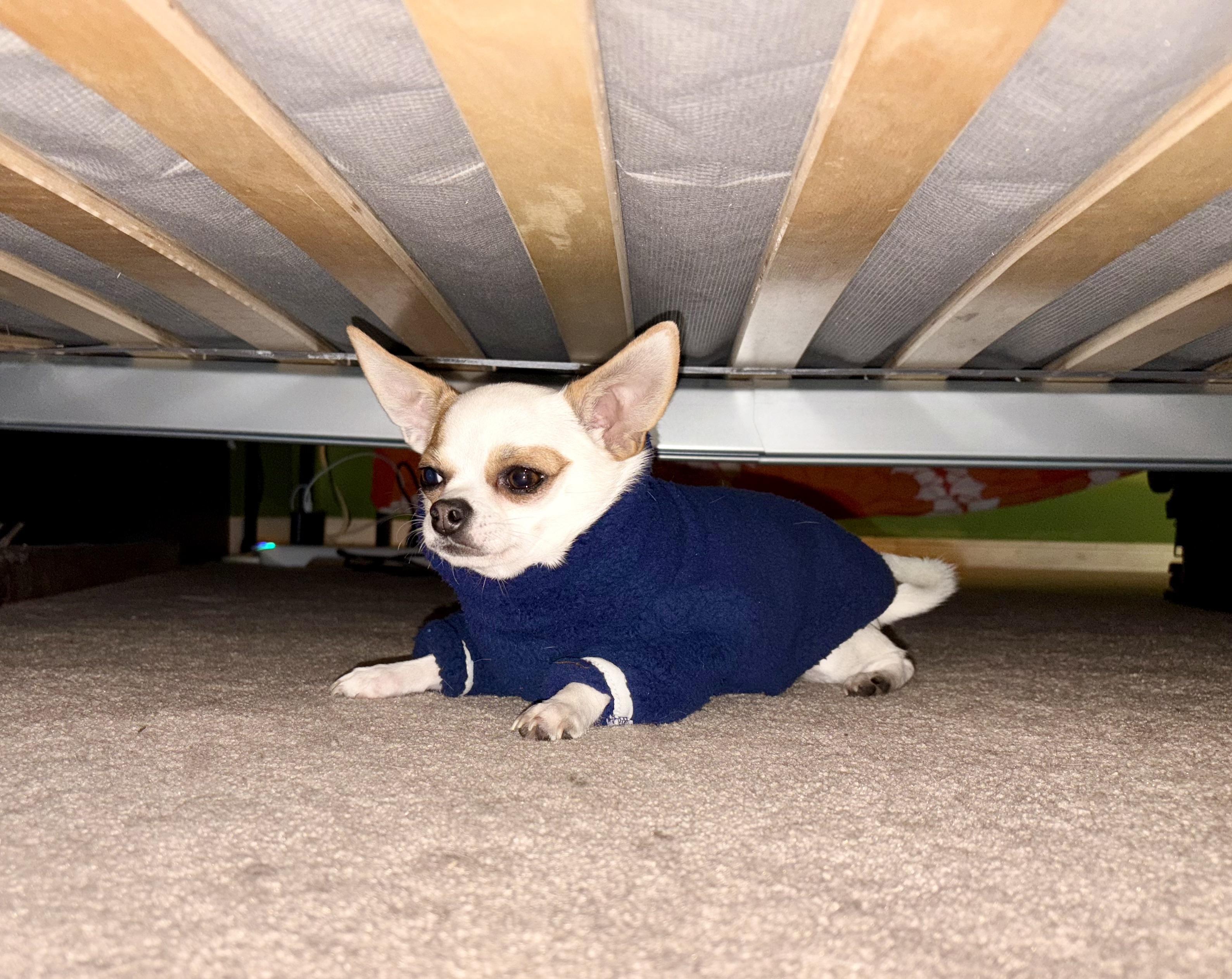 Happy Birthday Muchacho!! | Scrolller