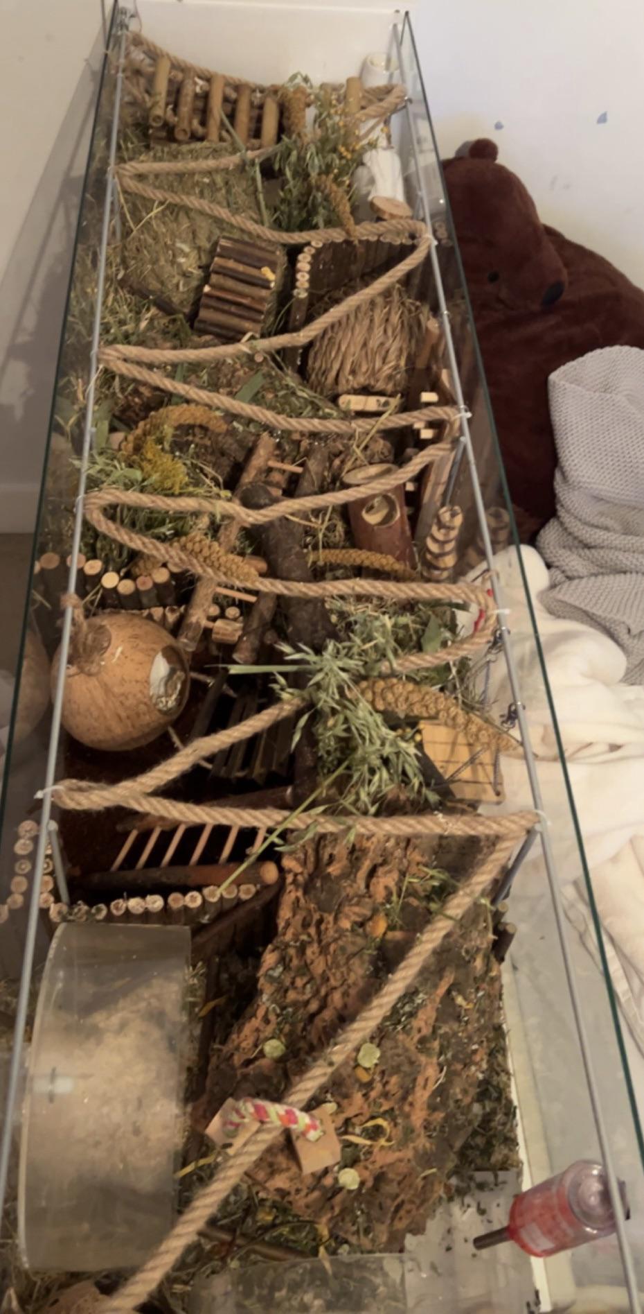 New layout :D | Scrolller