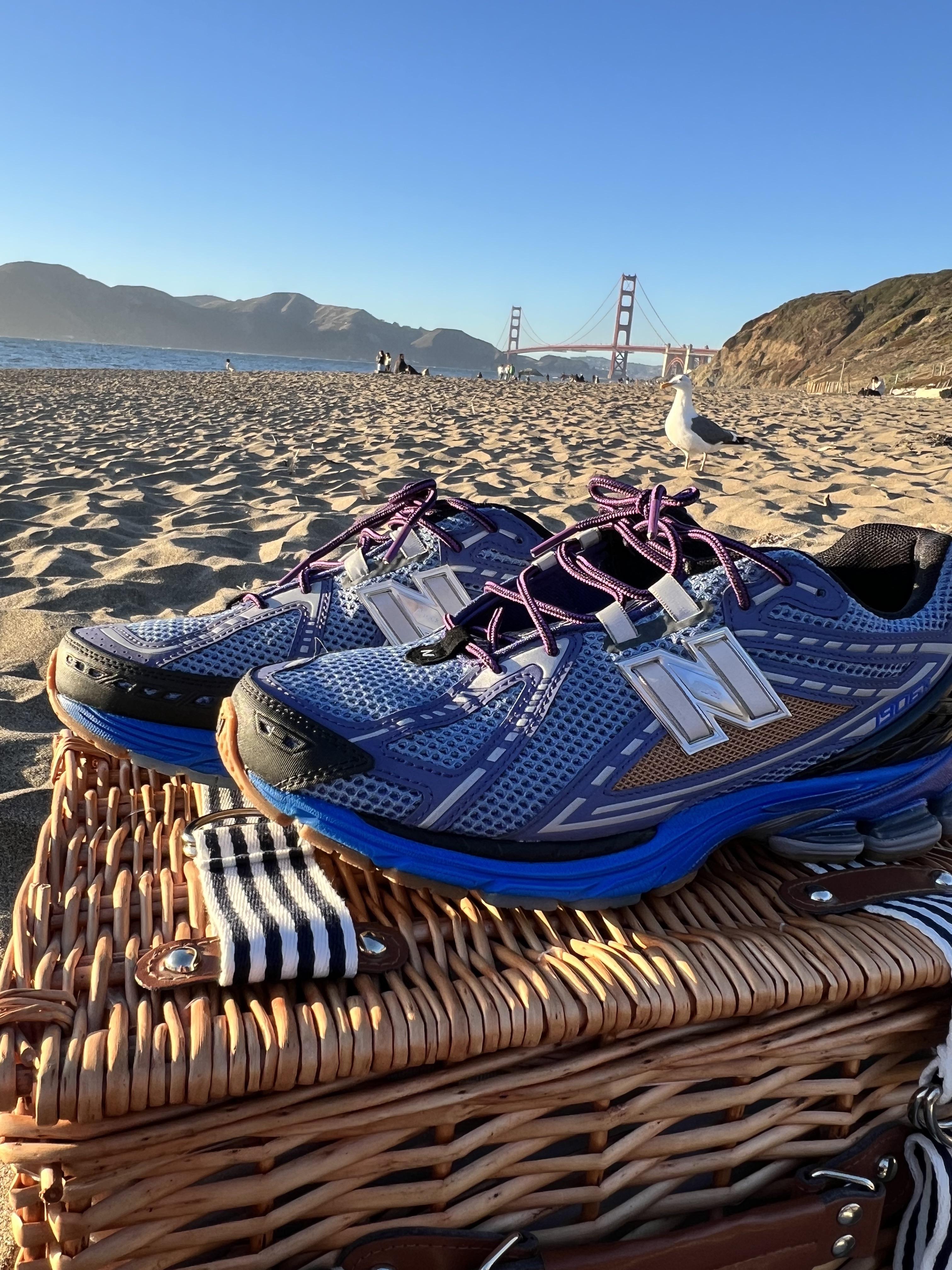 Medusas at the Bay | Scrolller