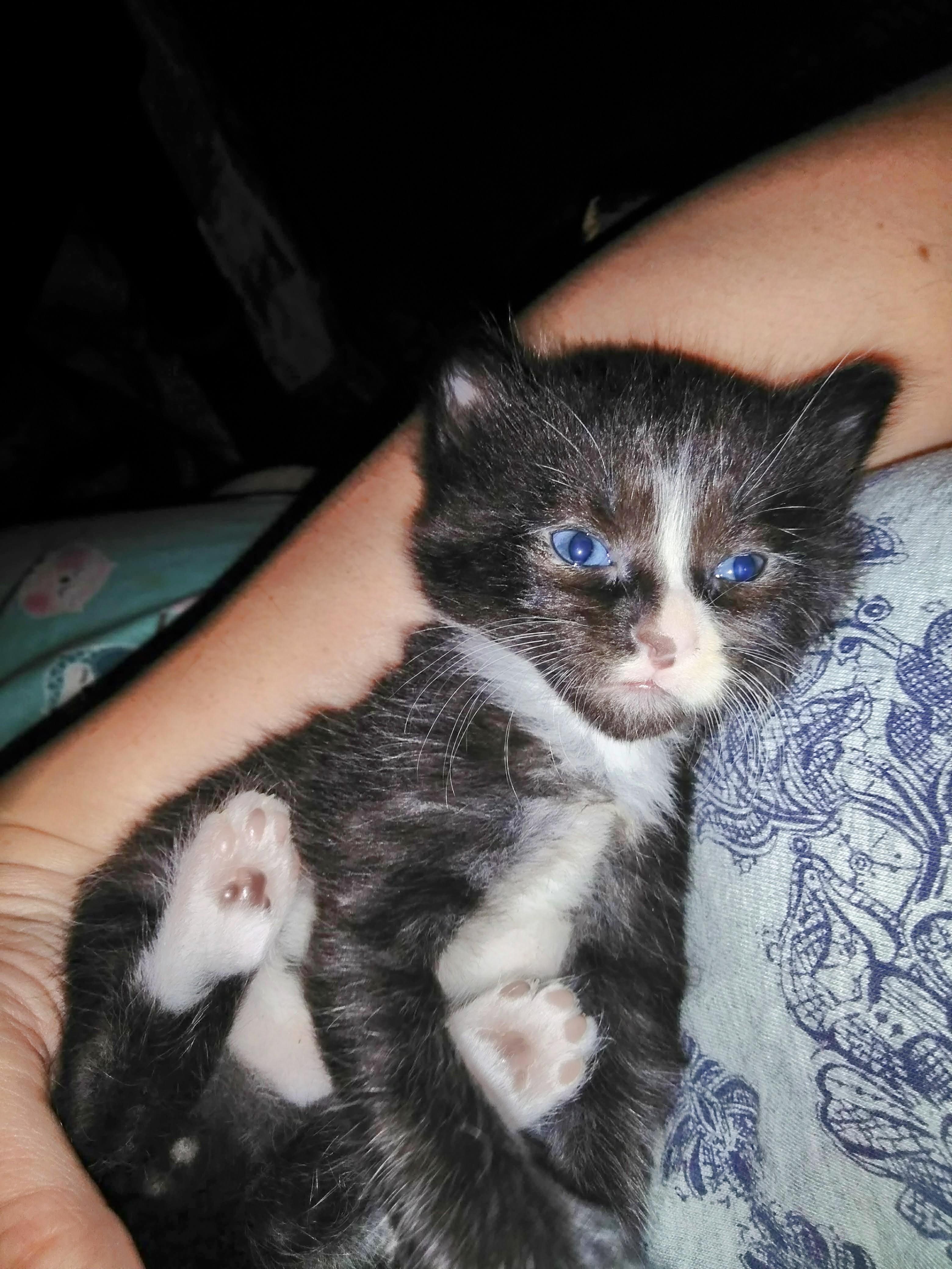 My Jesse Then and Now | Scrolller