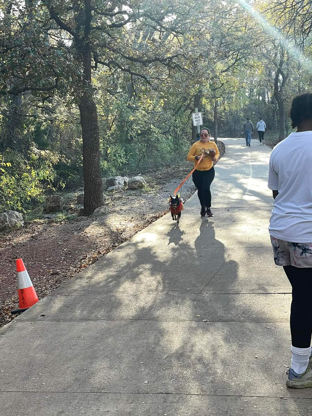 Discover more like Aww: Turkey Runs and Related Content | Scrolller