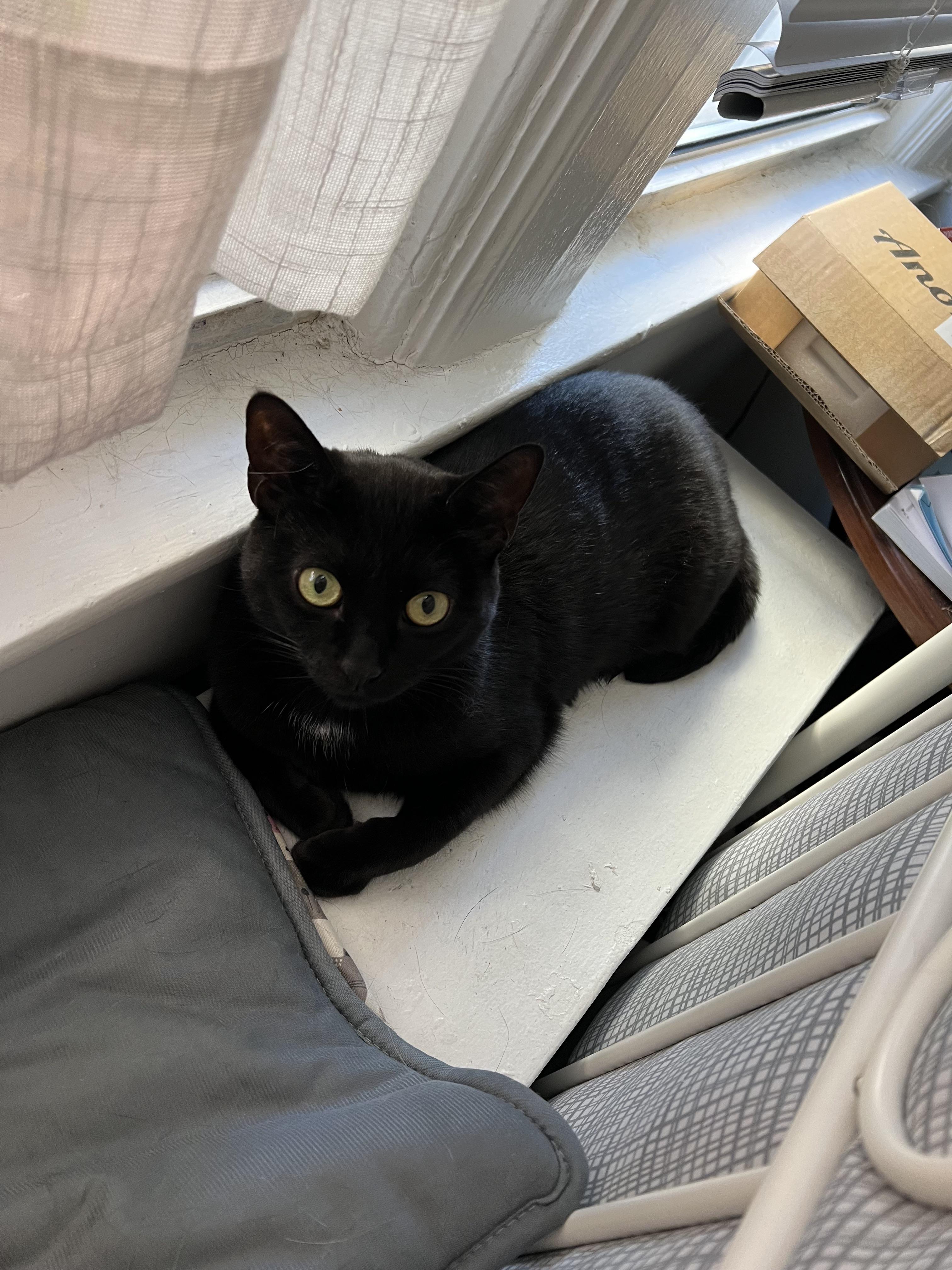 New here! Meet Pete | Scrolller