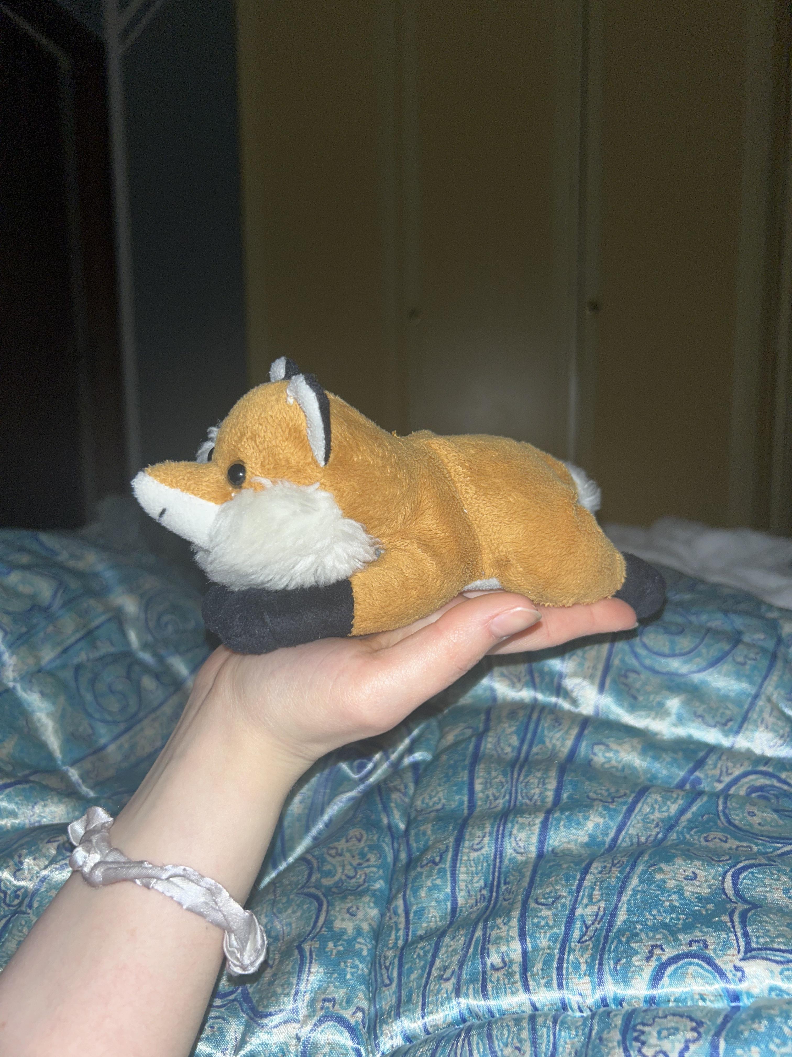 Help us identify this plushie! | Scrolller