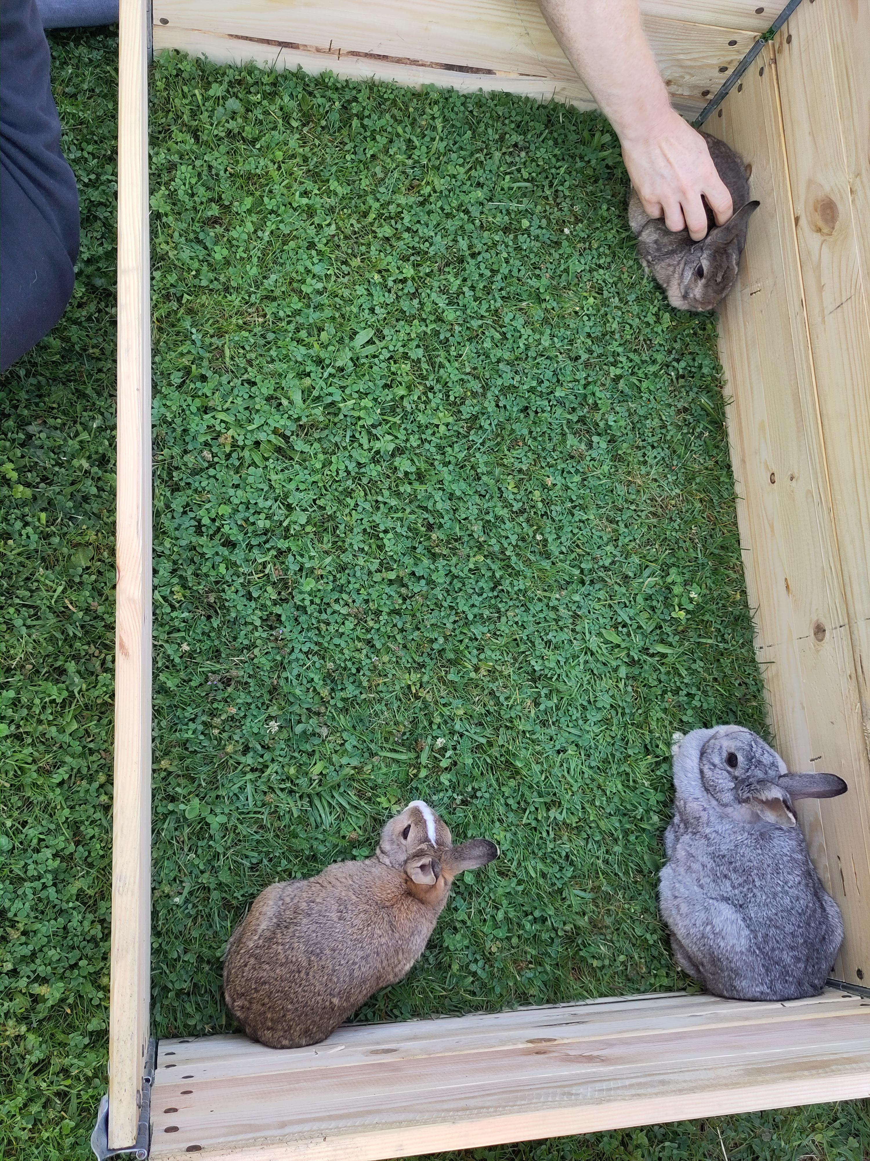 Hi bby x3 | Scrolller