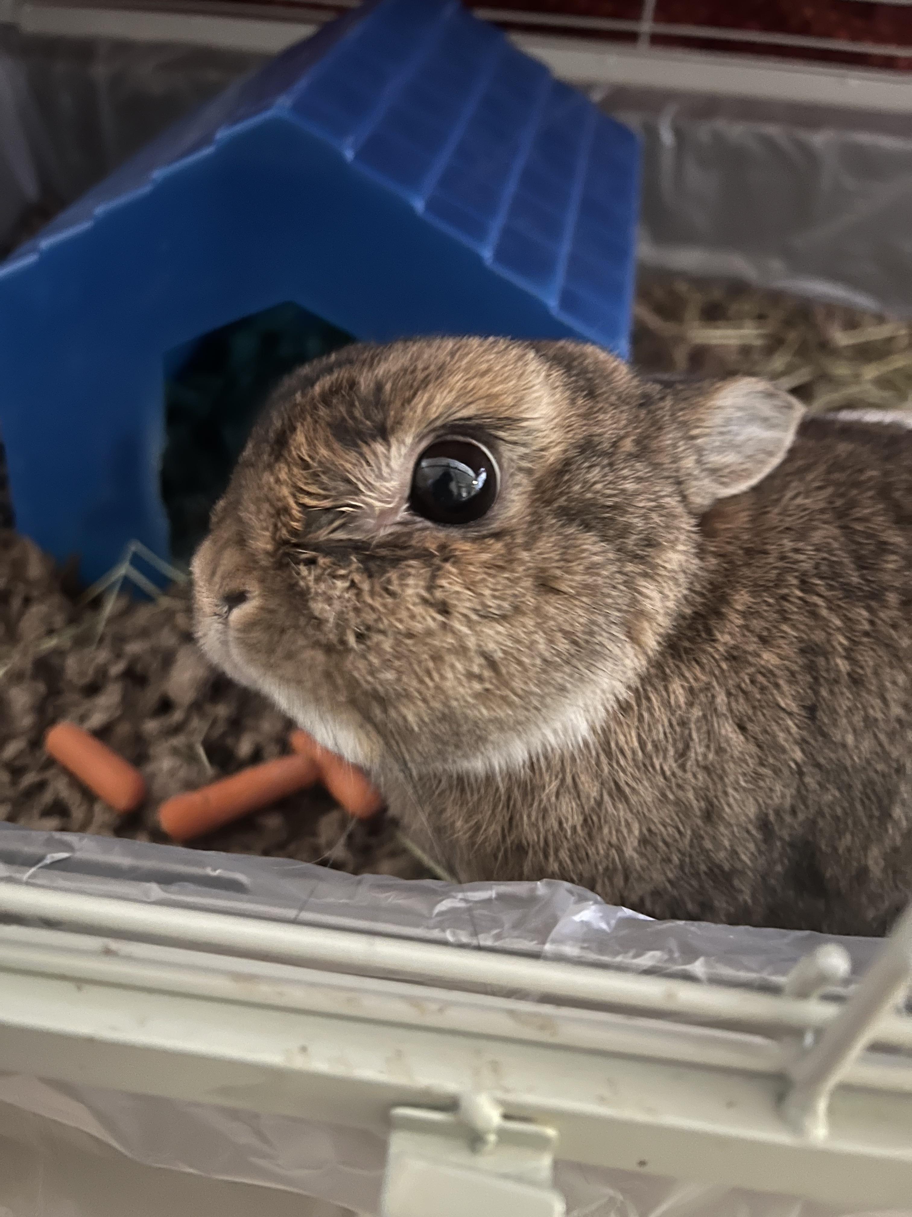 Eyelashes | Scrolller