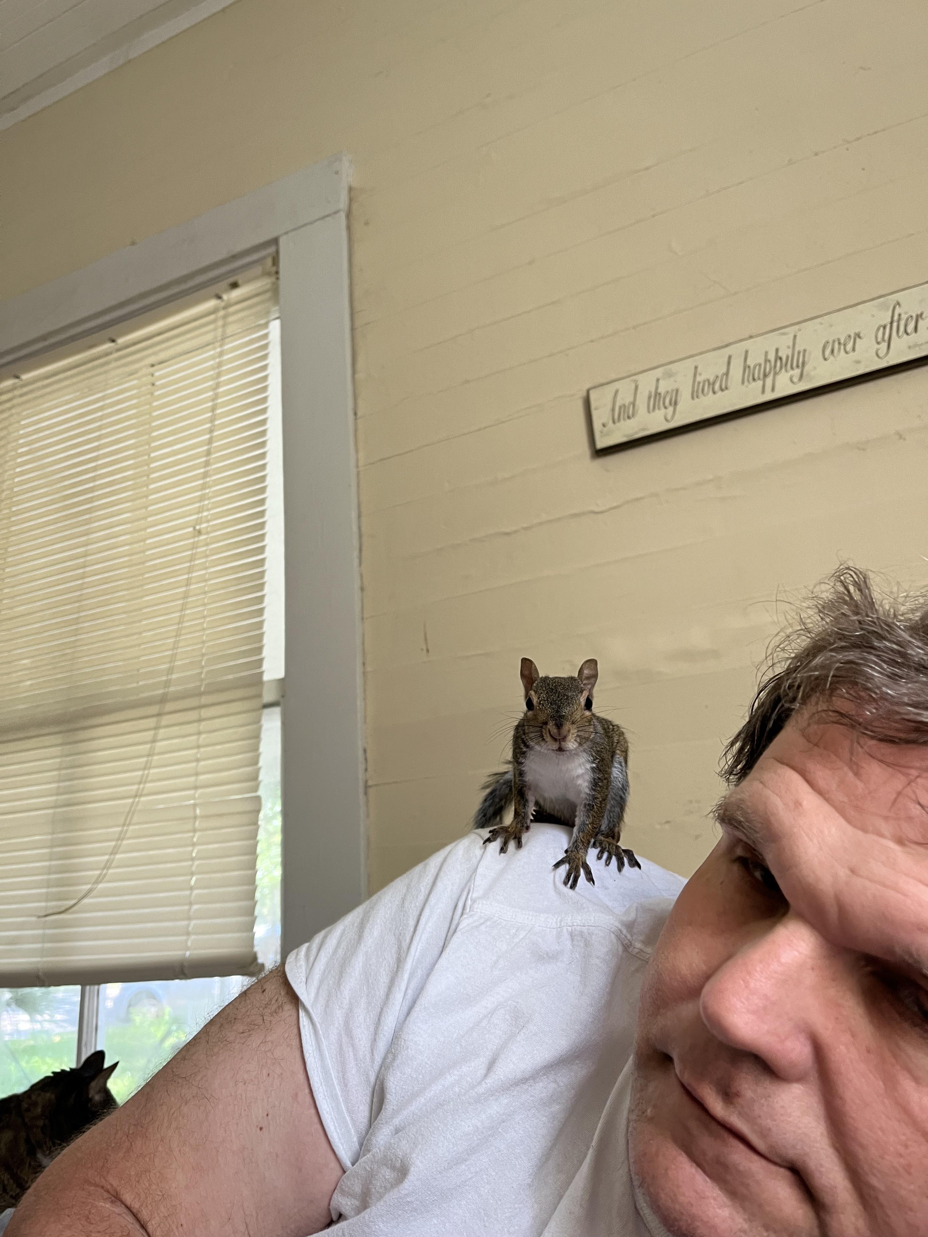 Prayers for Bruiser! | Scrolller