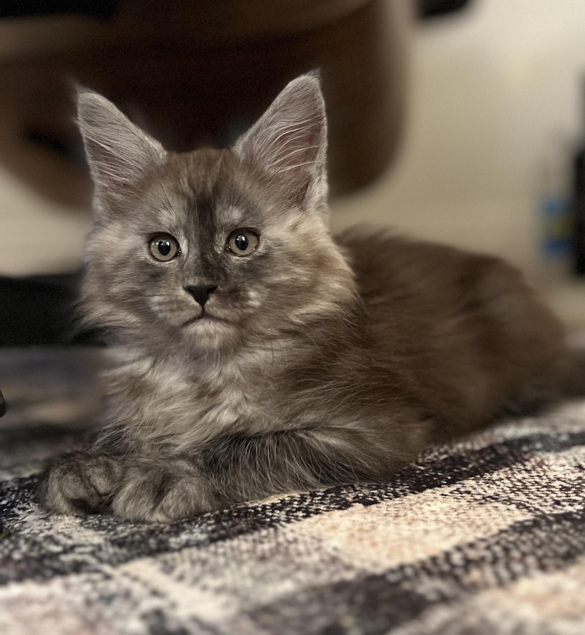 Meet Roger Moore | Scrolller