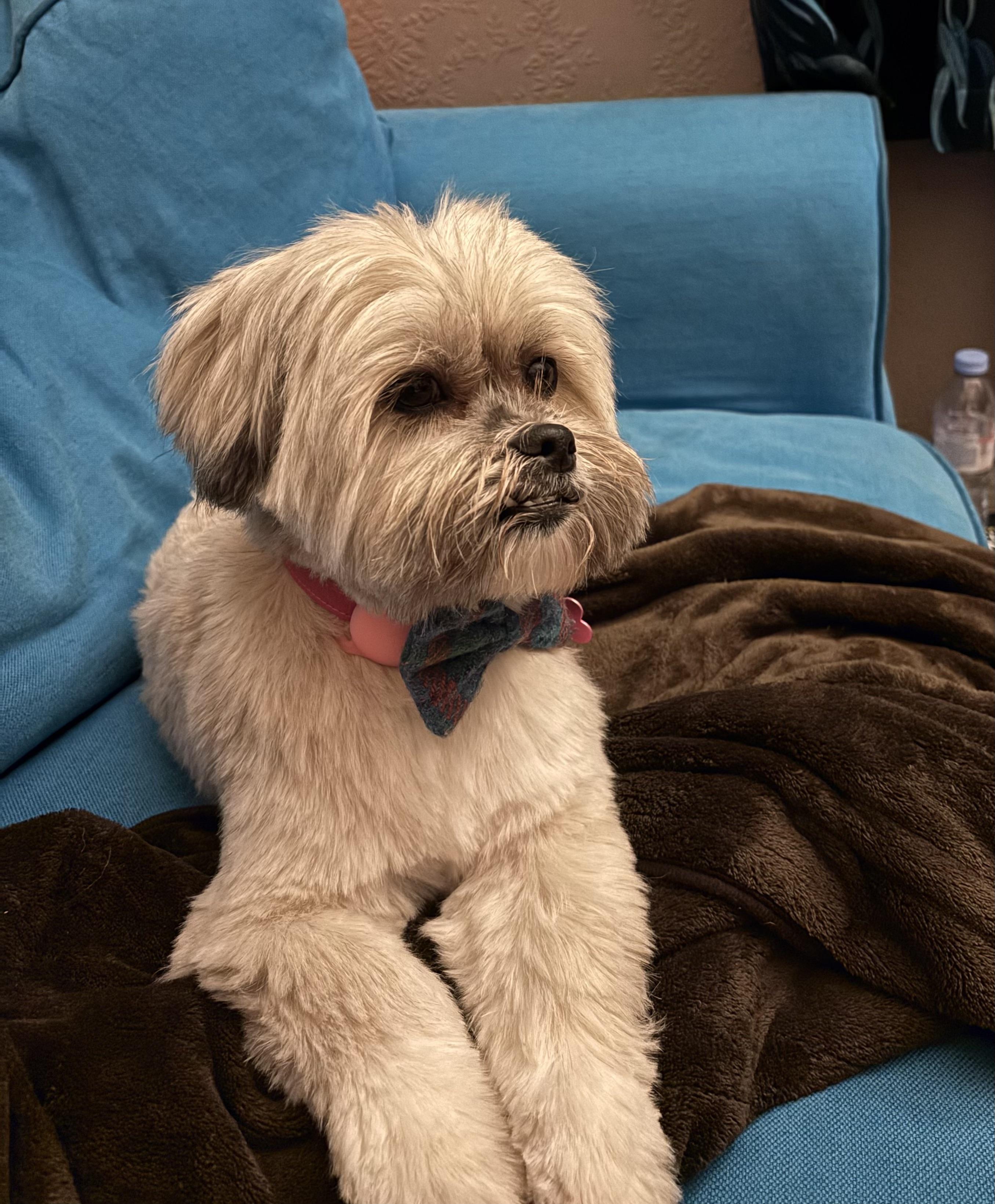 She has a dumb face but she is my biological child | Scrolller